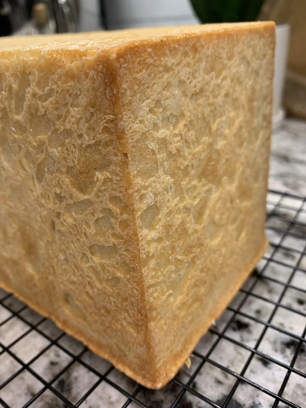 Pullman loaf — Shasta's Blog