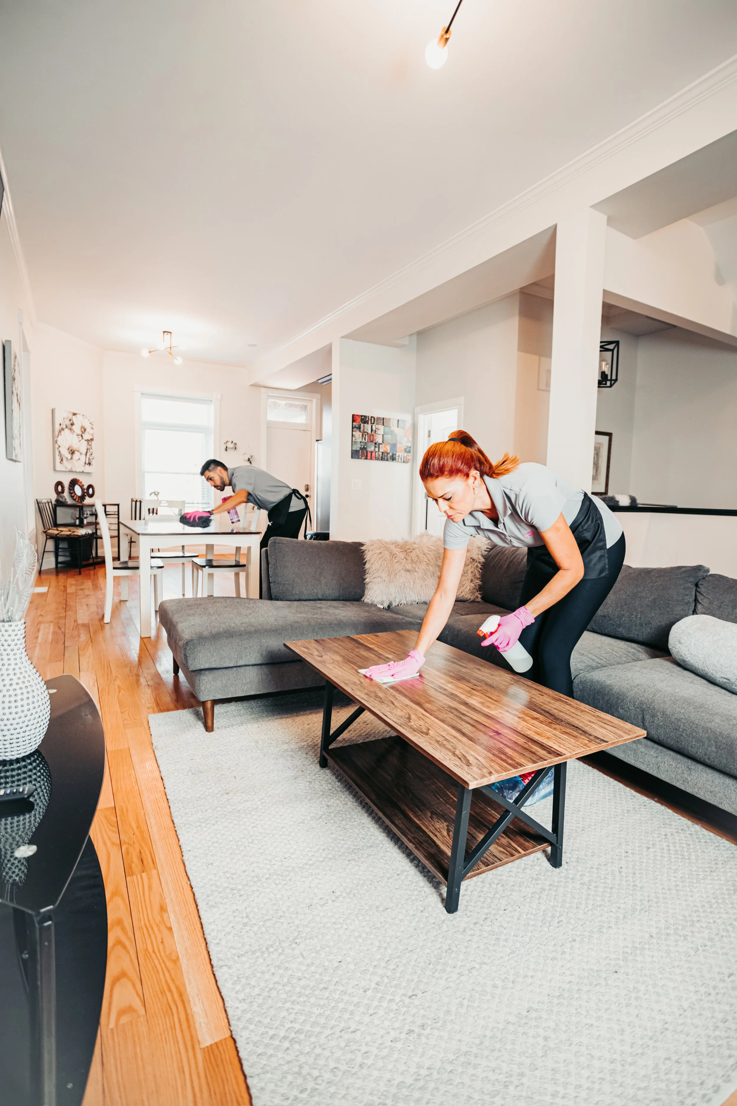 Standard Cleaning Services in Chicago - Best Home Cleaning — U HAVE IT ...
