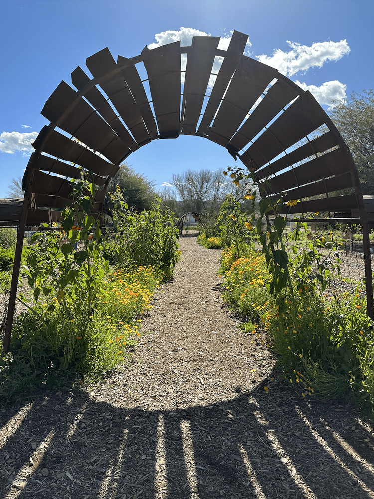 Tours — Desert Marigold School