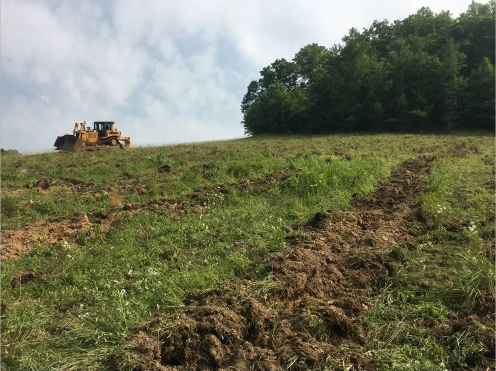 Bosland Growth: Increase Your Property Value + Restore Your Forest