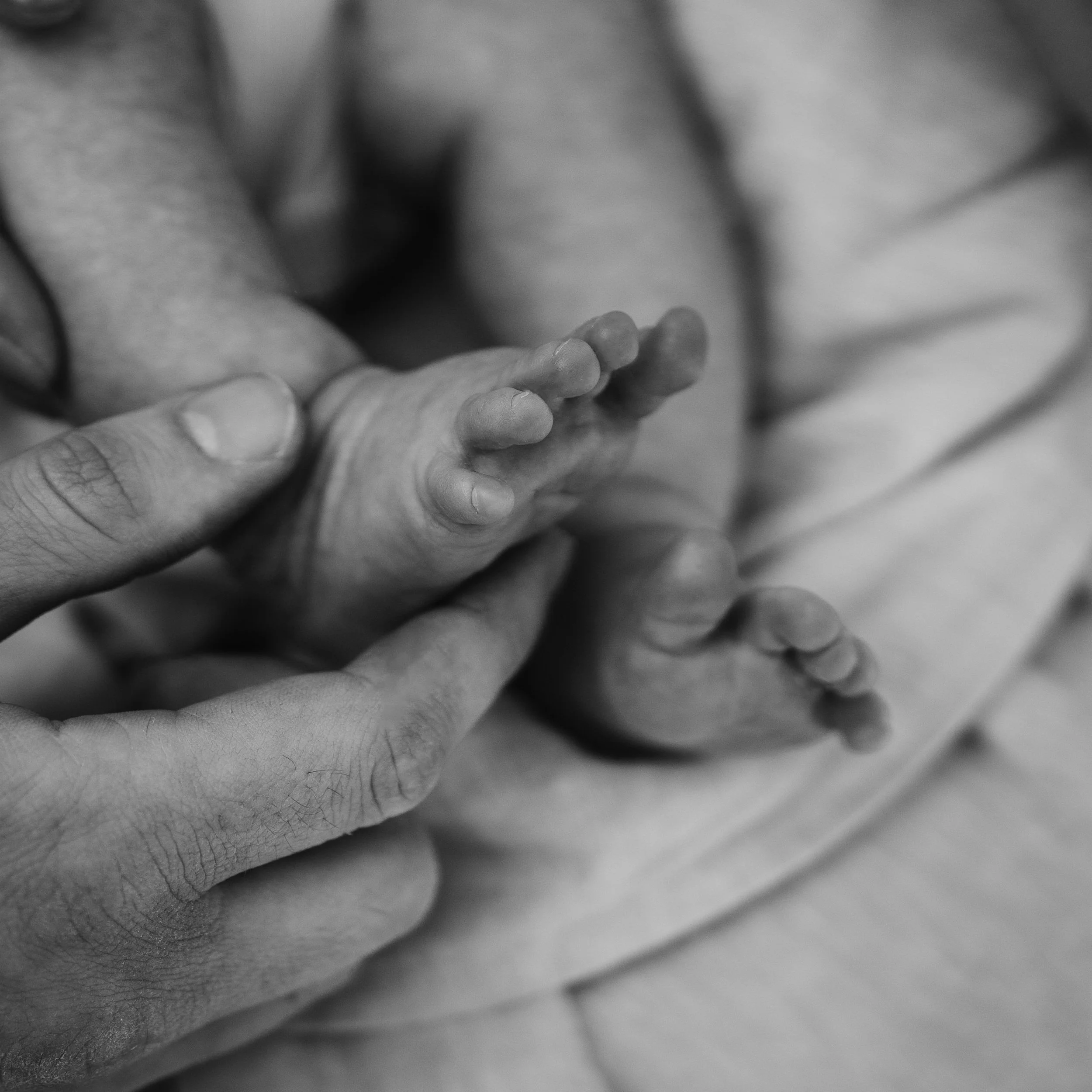 Jessica Ren Photography