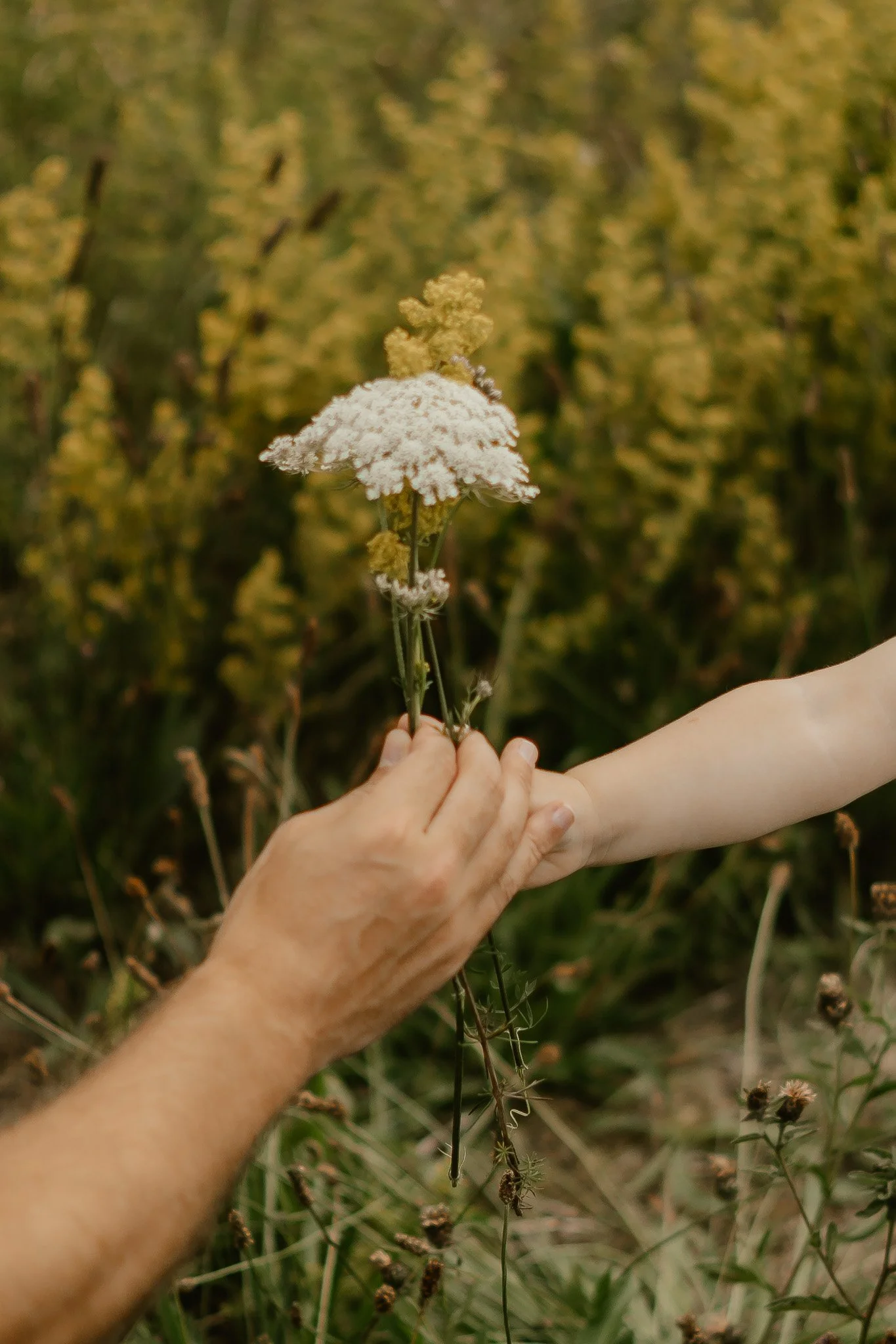 Jessica Ren Photography