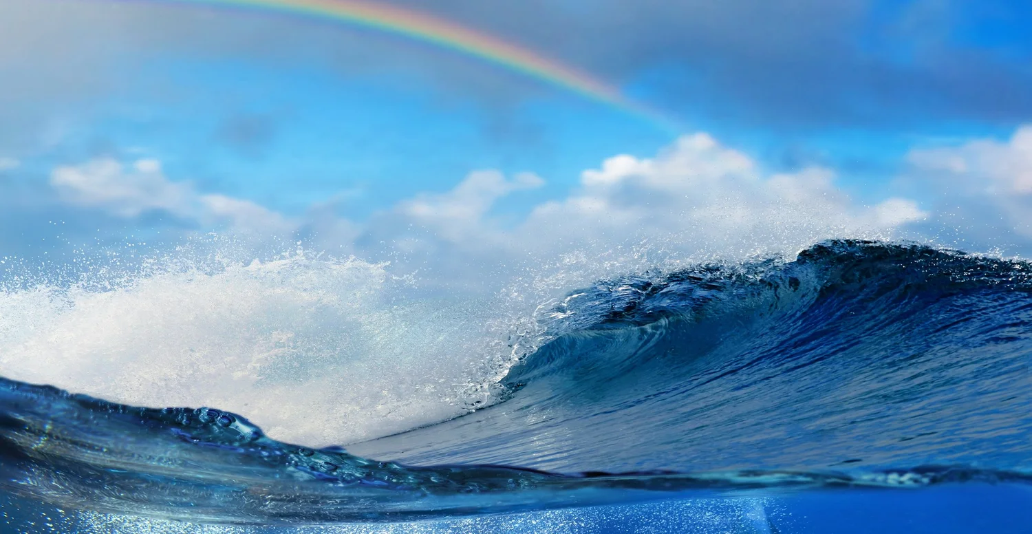 Oar the Rainbow