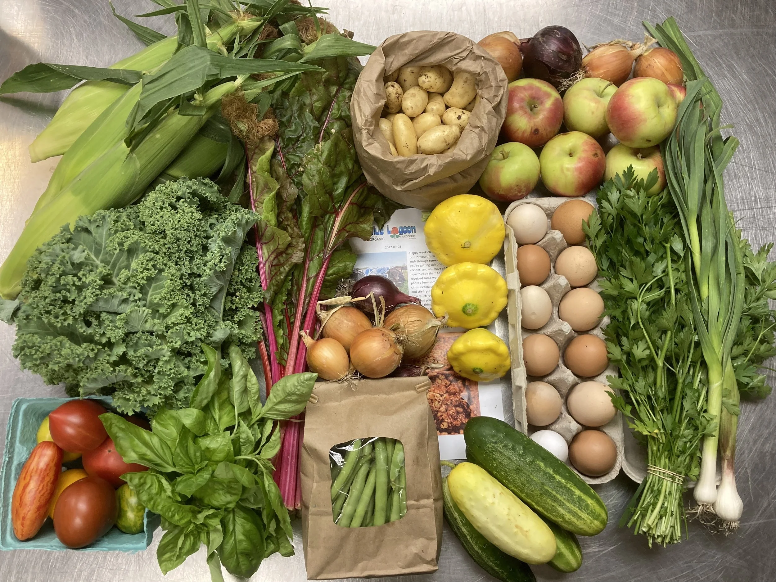 Services 3 — Blue Lagoon Organics