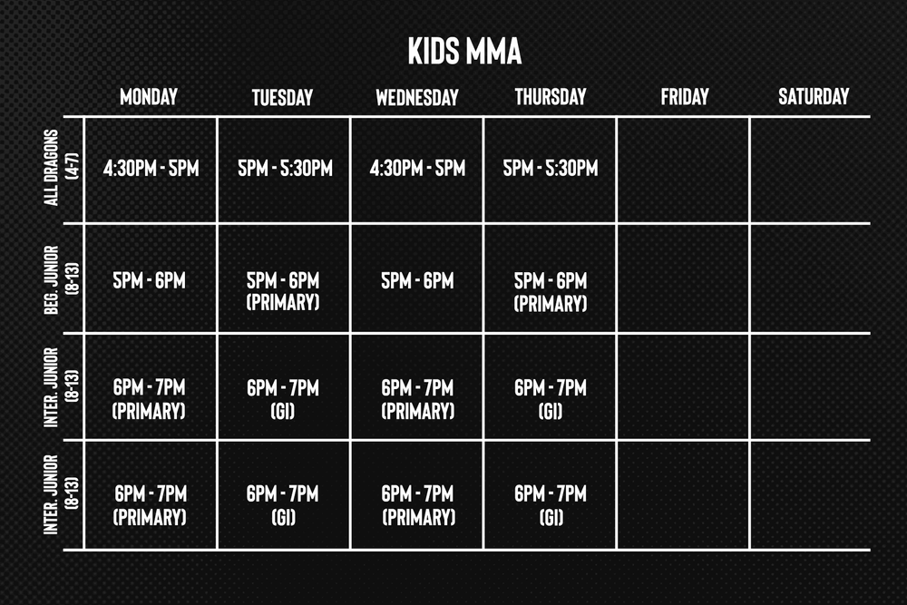 American Mixed Martial Arts