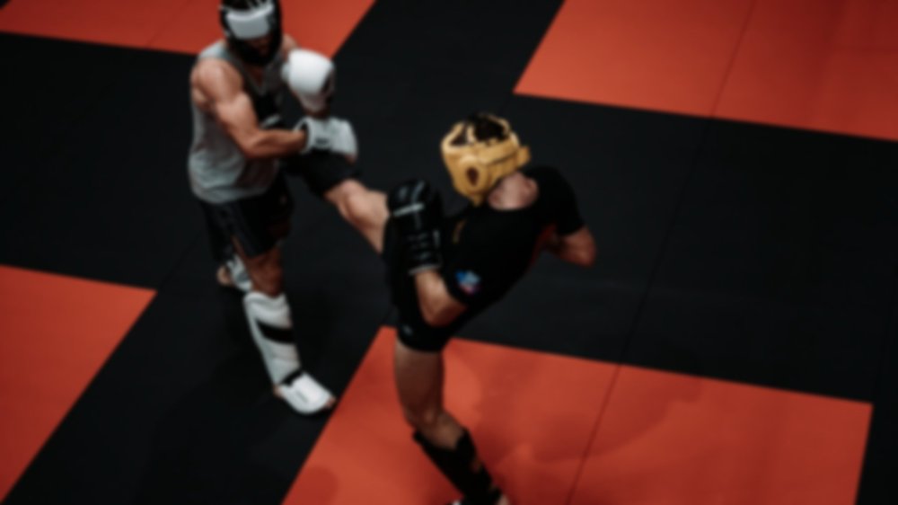 American Mixed Martial Arts