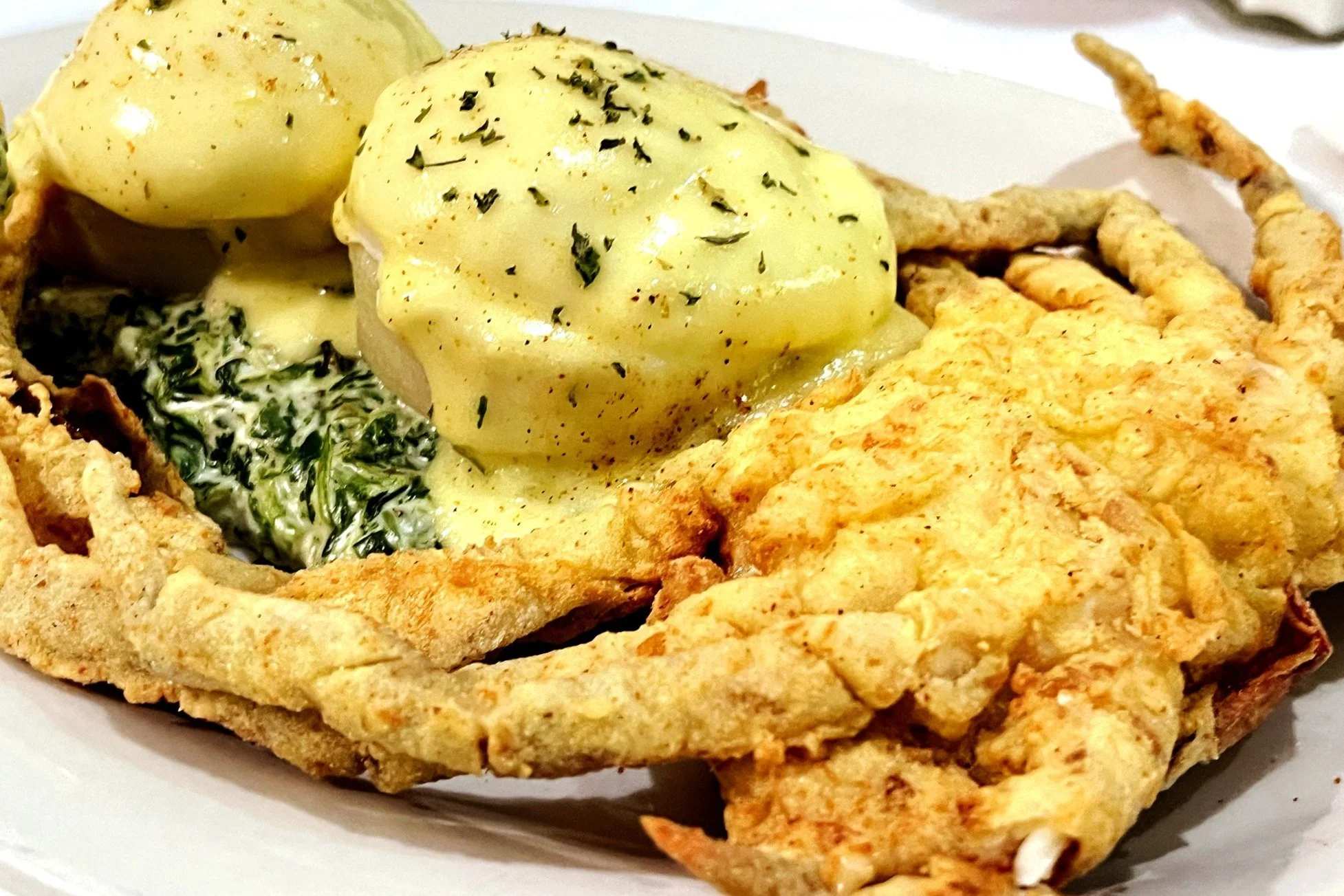 Menus for Lunch, Dinner and Daily Specials — Fury's Restaurant