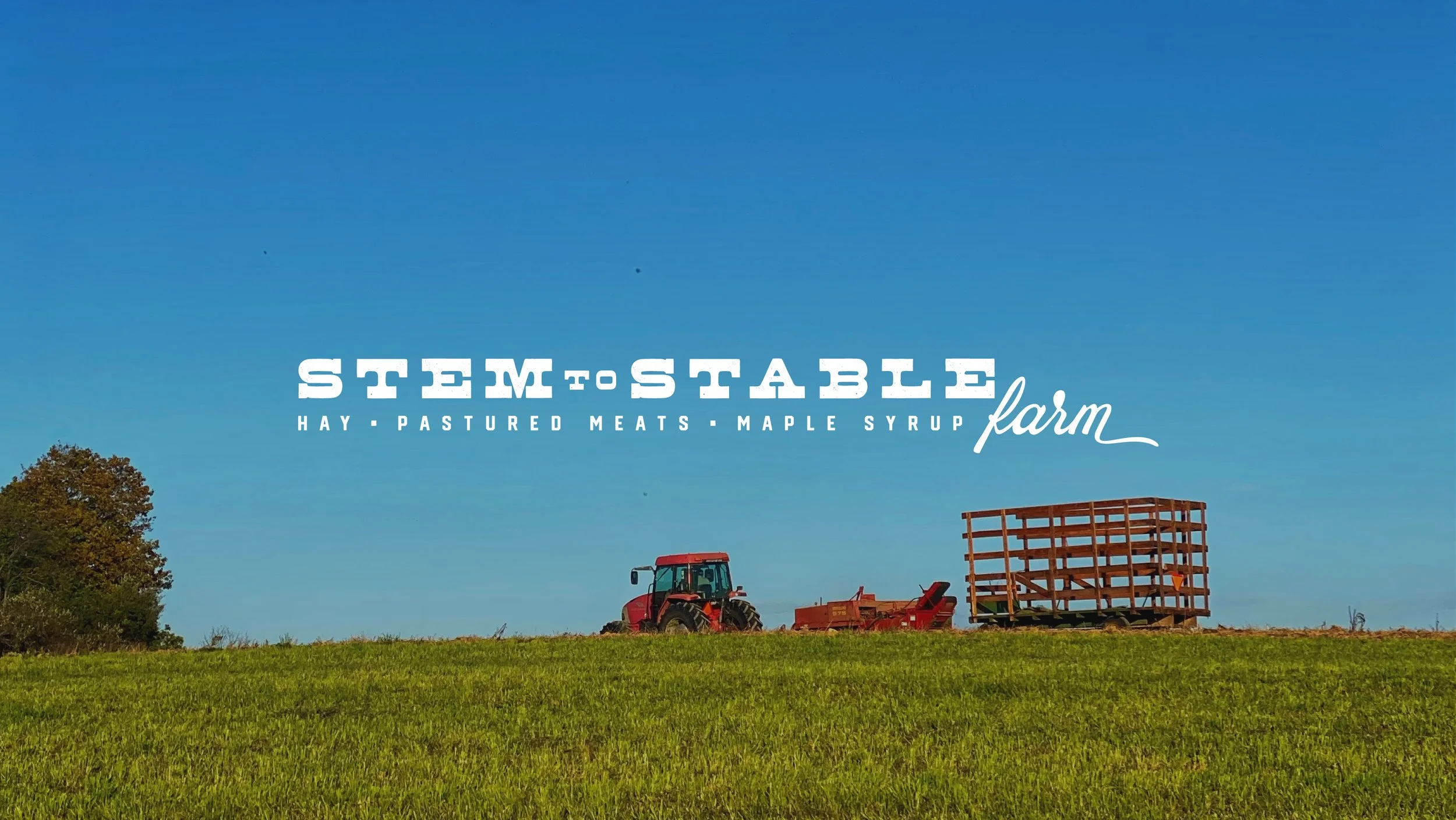 Stem To Stable Farm