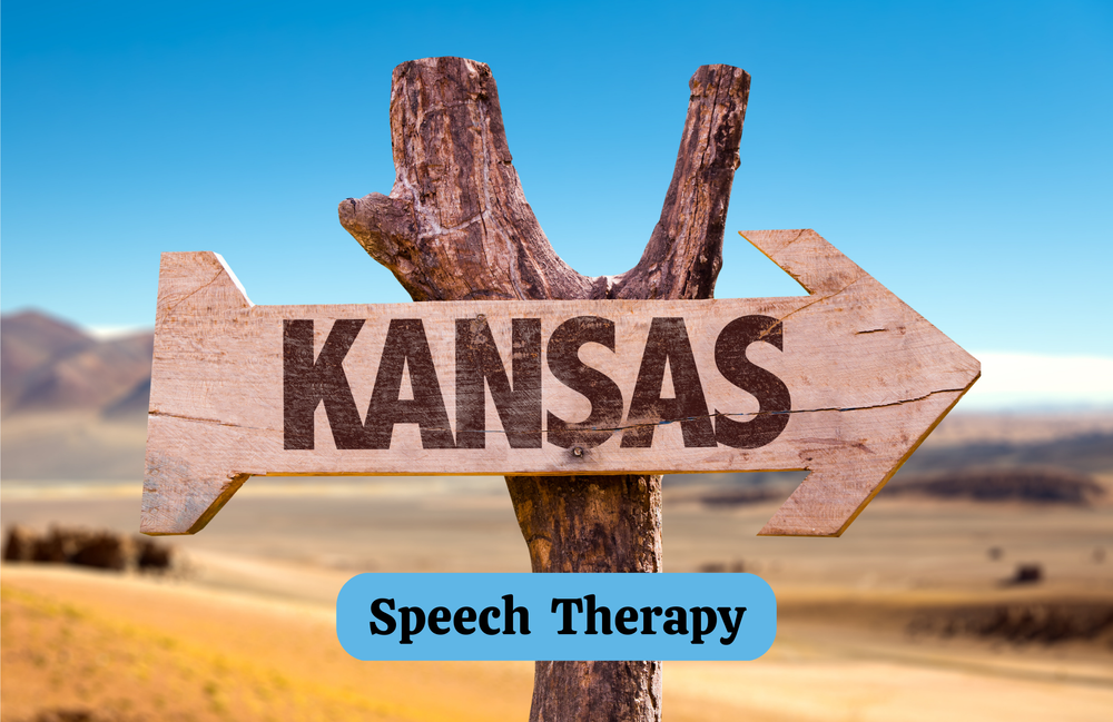 Kansas Speech and Language Therapy — Anywhere Speech & Language
