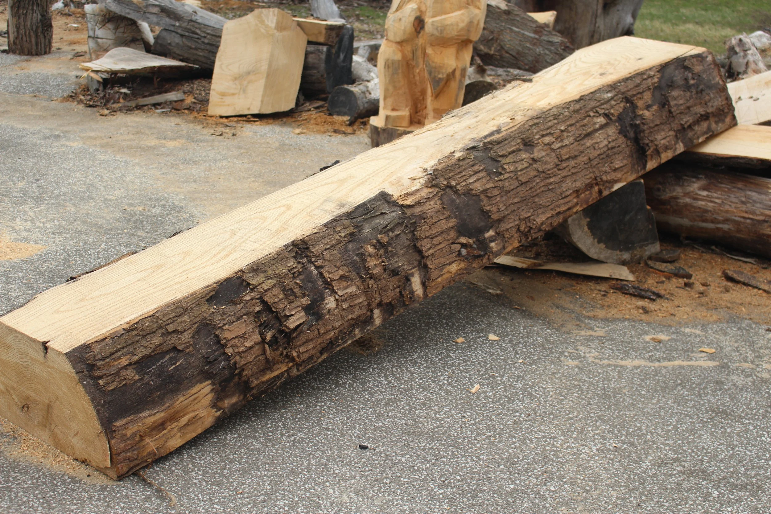 What We Do — Scott Dow Art