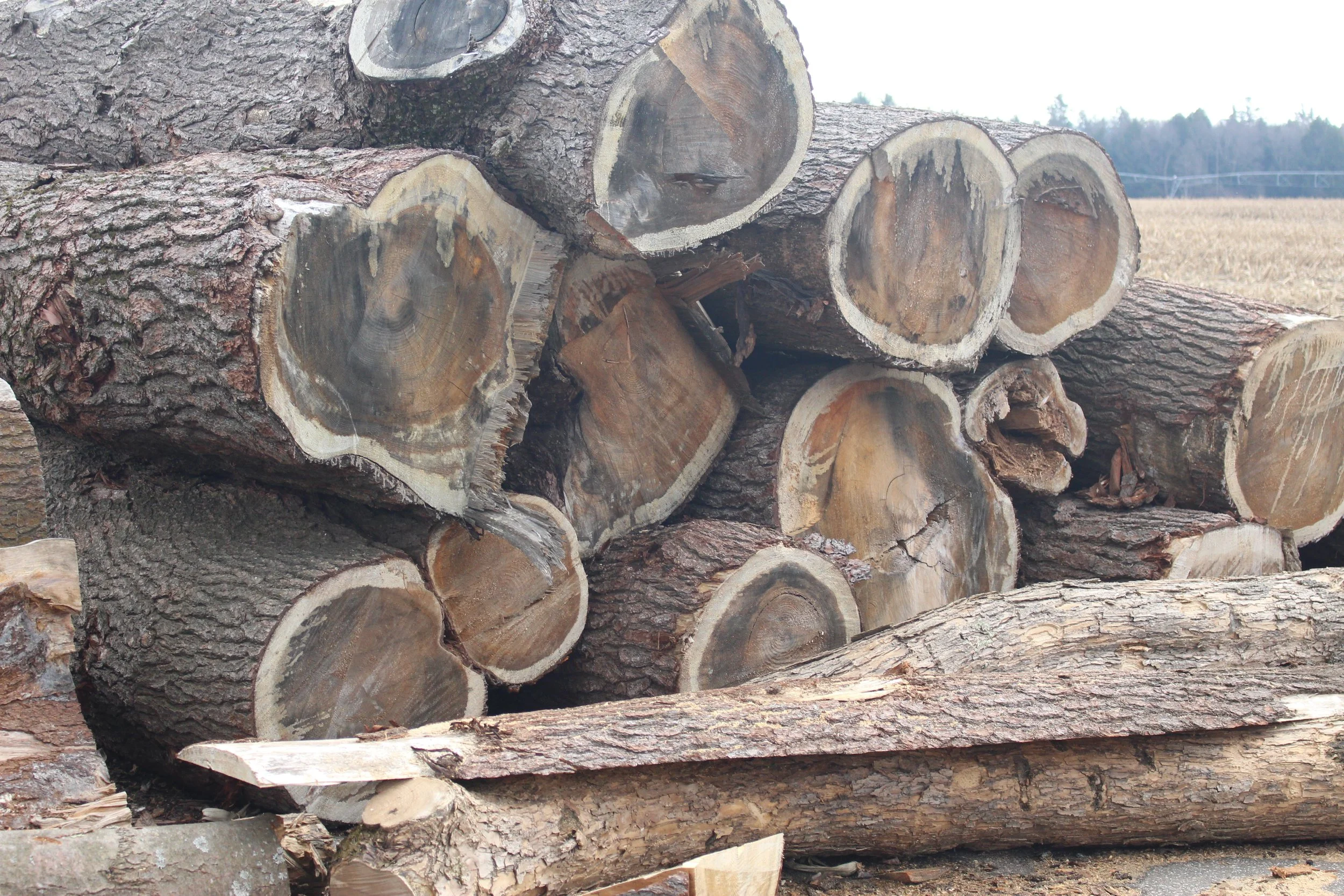 What We Do — Scott Dow Art