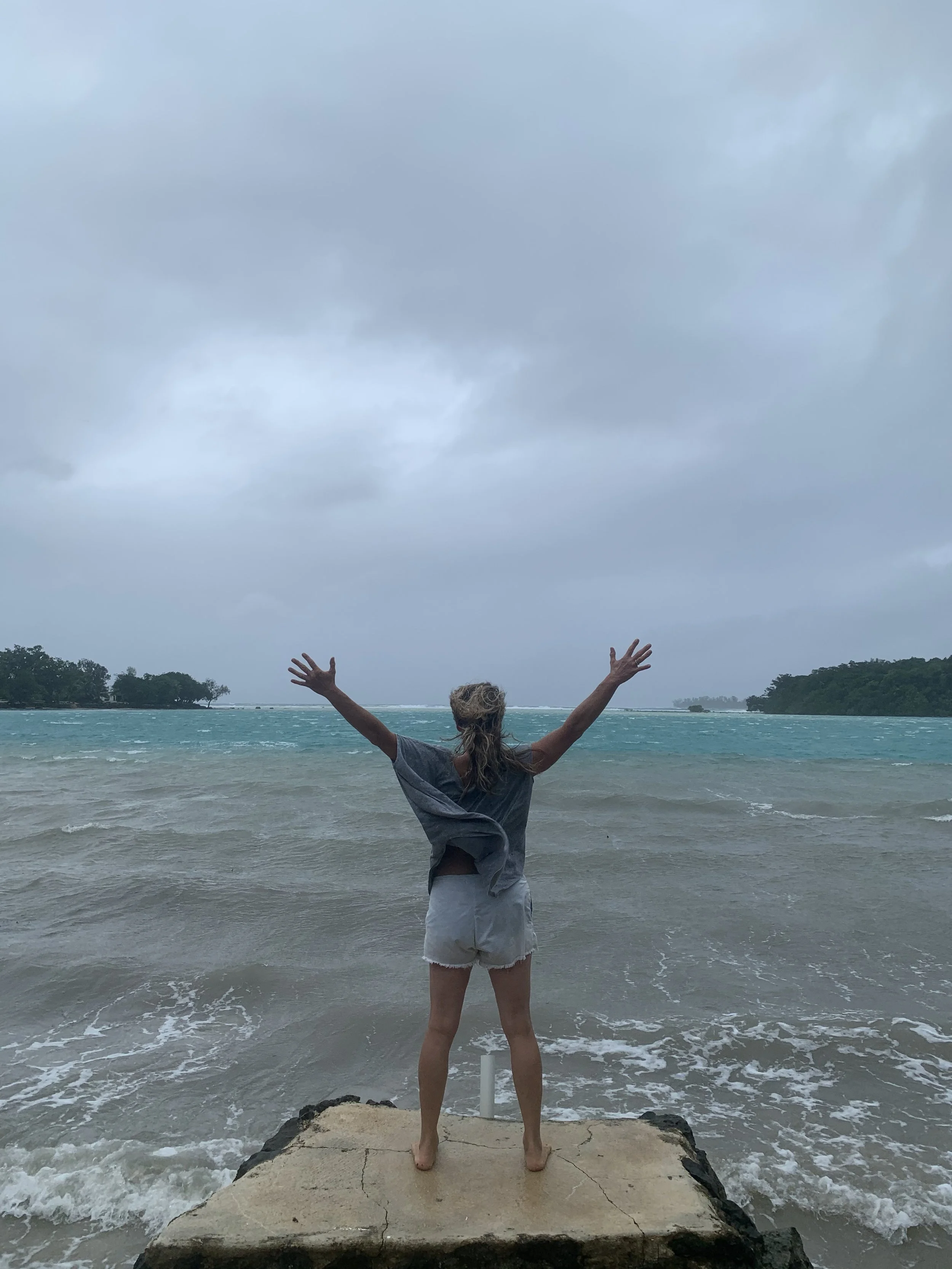 Books to Master Your Disasters — Kat Finnerty
