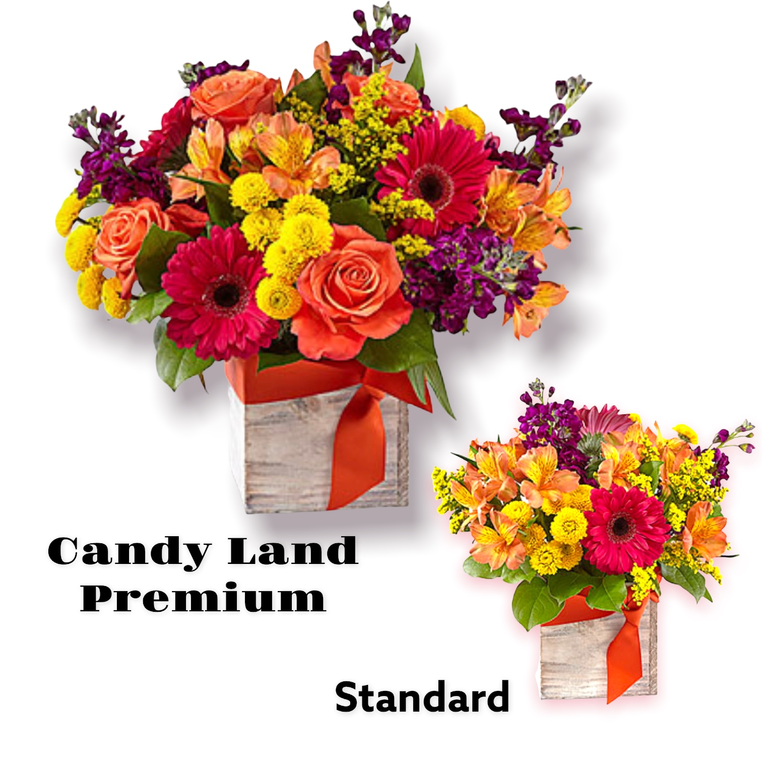 Fremont Flowers since 1956; Your Premium Florist