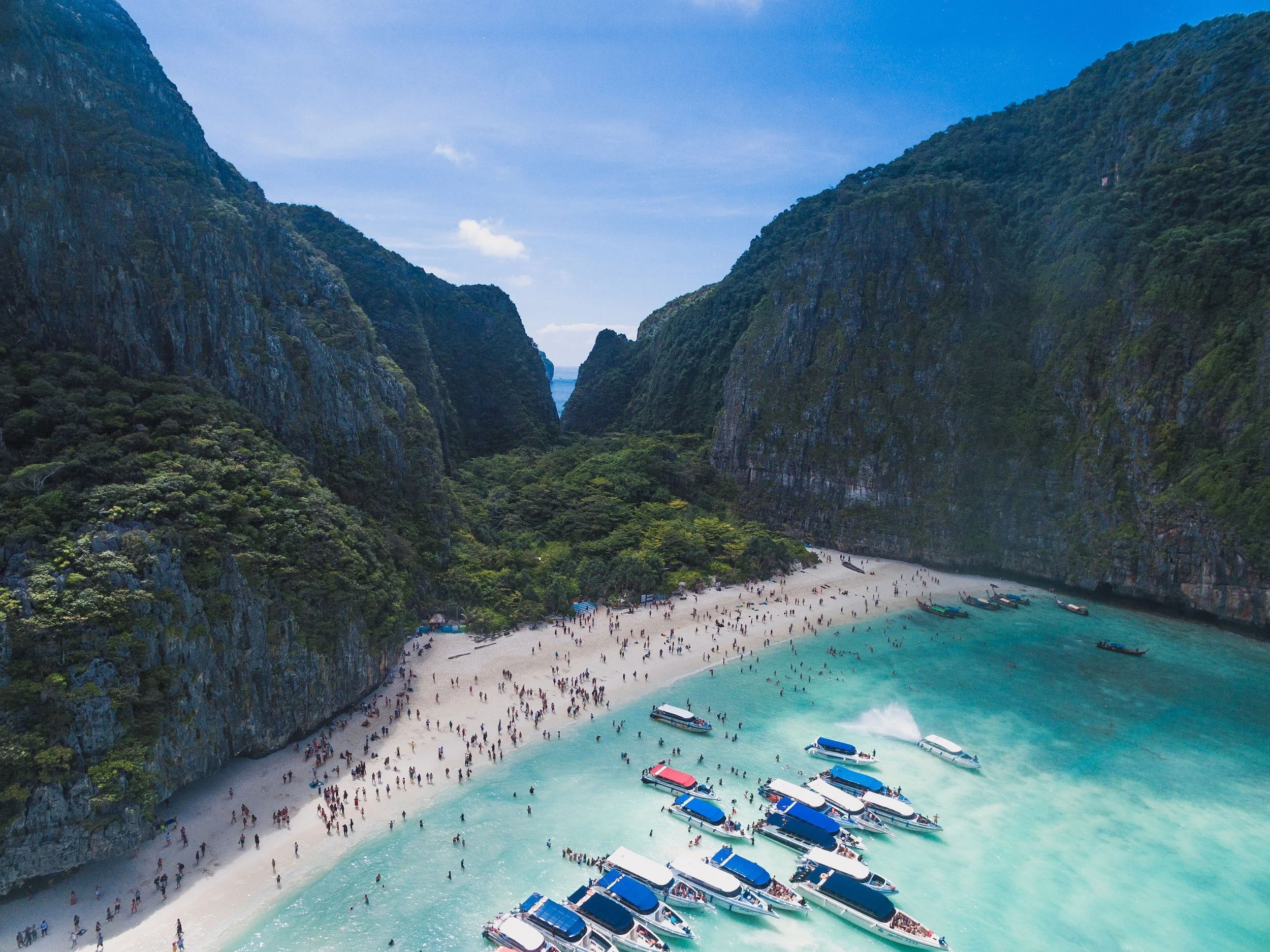 Maya Bay Shark