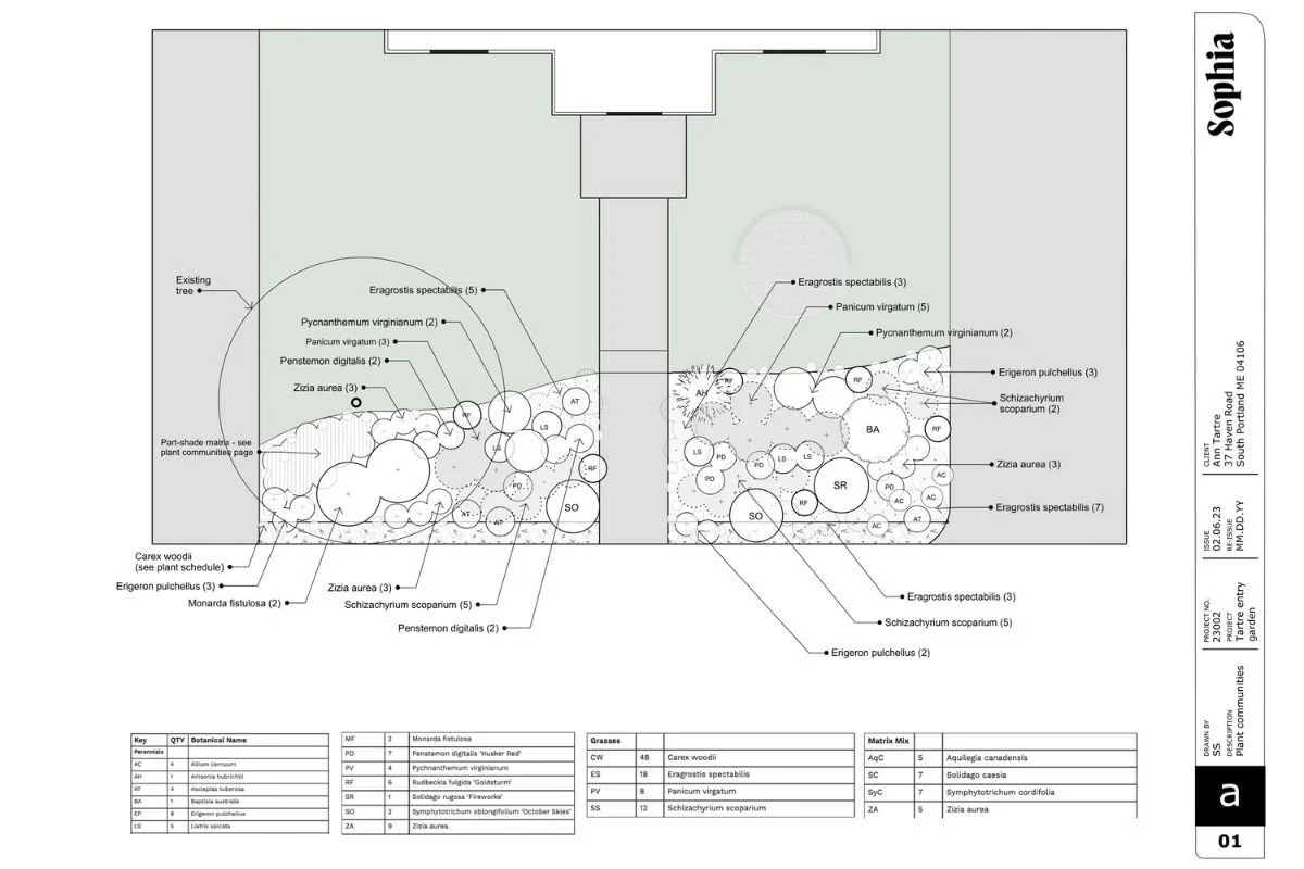 Design process — Sophia Design