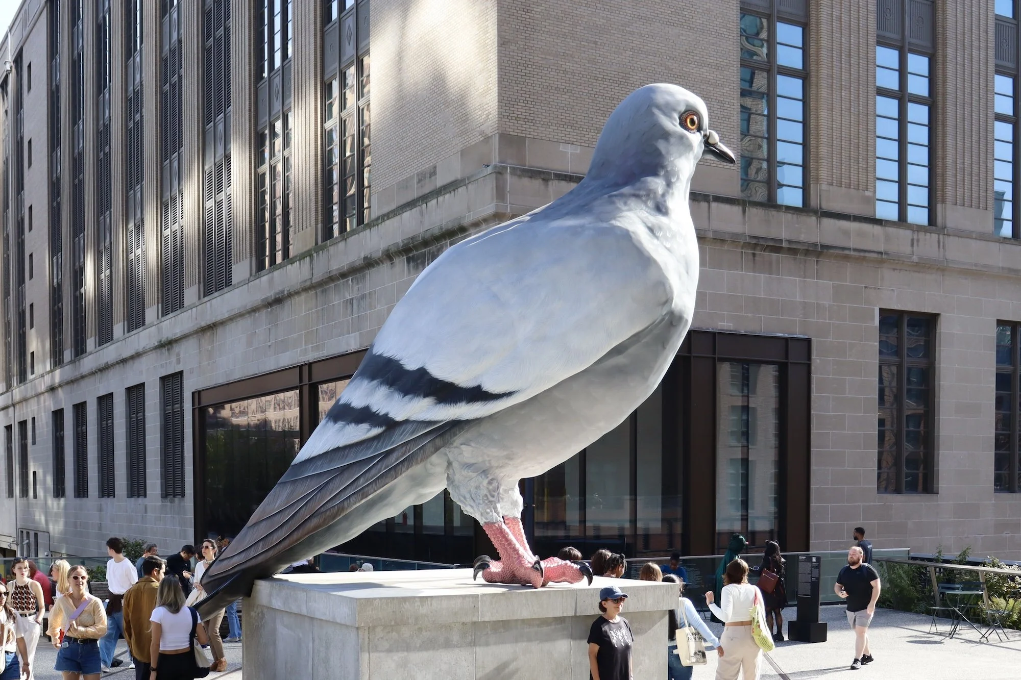 NYC Is Looking for the Finest Pigeon Impersonator This June at Pigeon ...