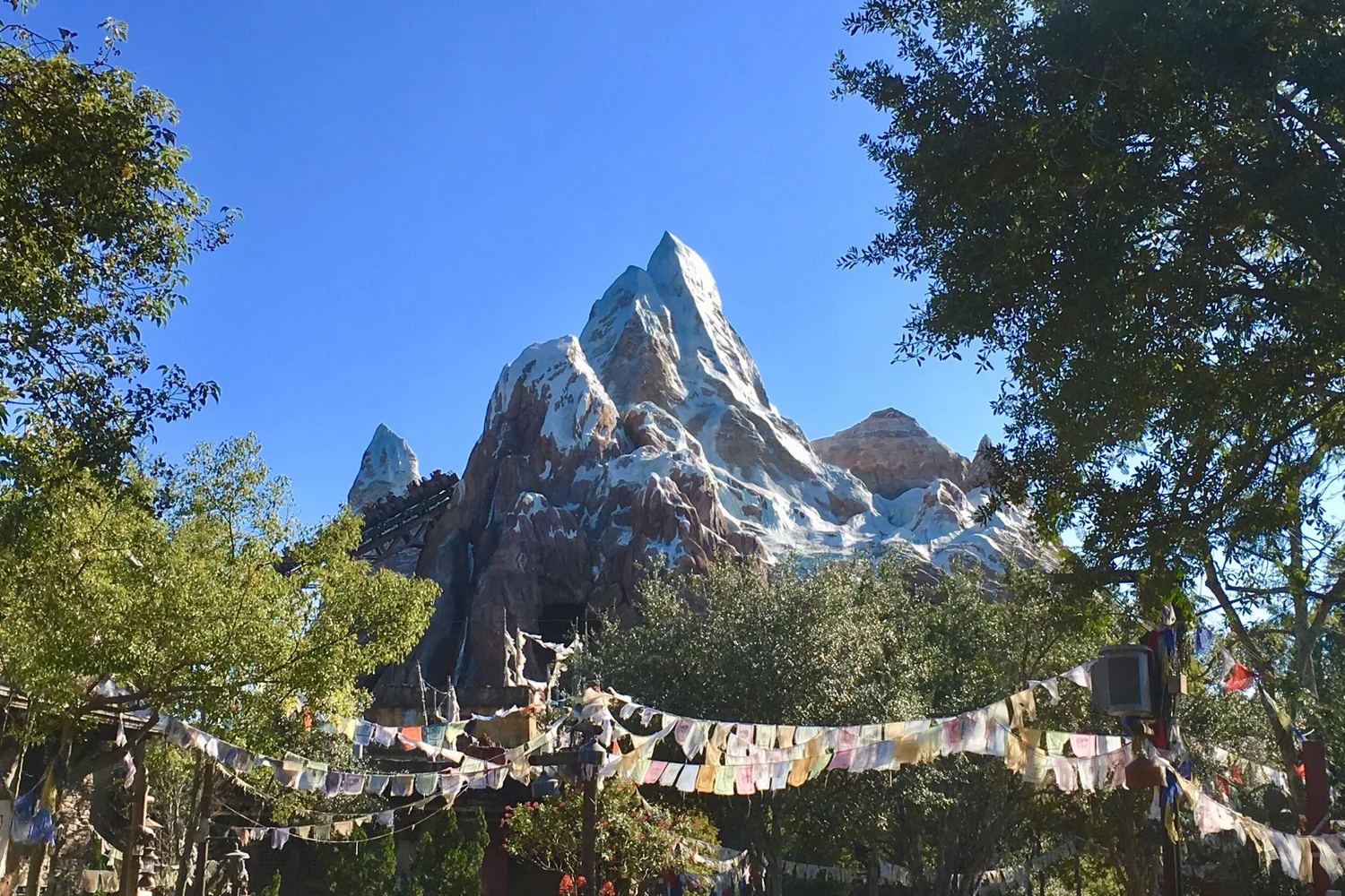 15 Most Thrilling Rides at Disney World That Will Make You Scream Your ...