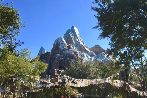 15 Most Thrilling Rides at Disney World That Will Make You Scream Your ...