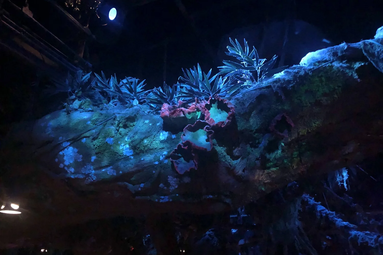 Your Complete Guide to Avatar Flight of Passage at Disney’s Animal ...