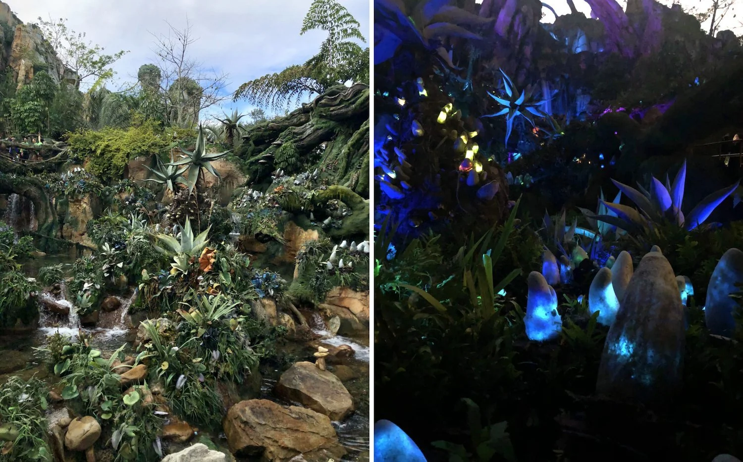 Your Complete Guide to Avatar Flight of Passage at Disney’s Animal ...