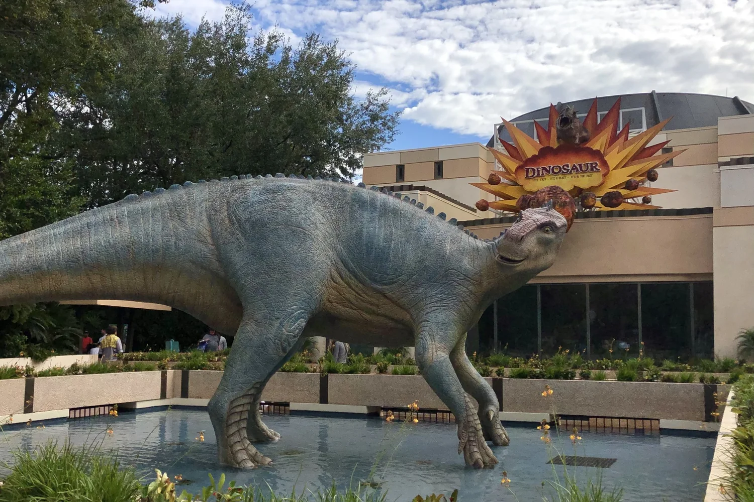 25 Best Rides at Walt Disney World, Ranked for 2026 | The Exploreist