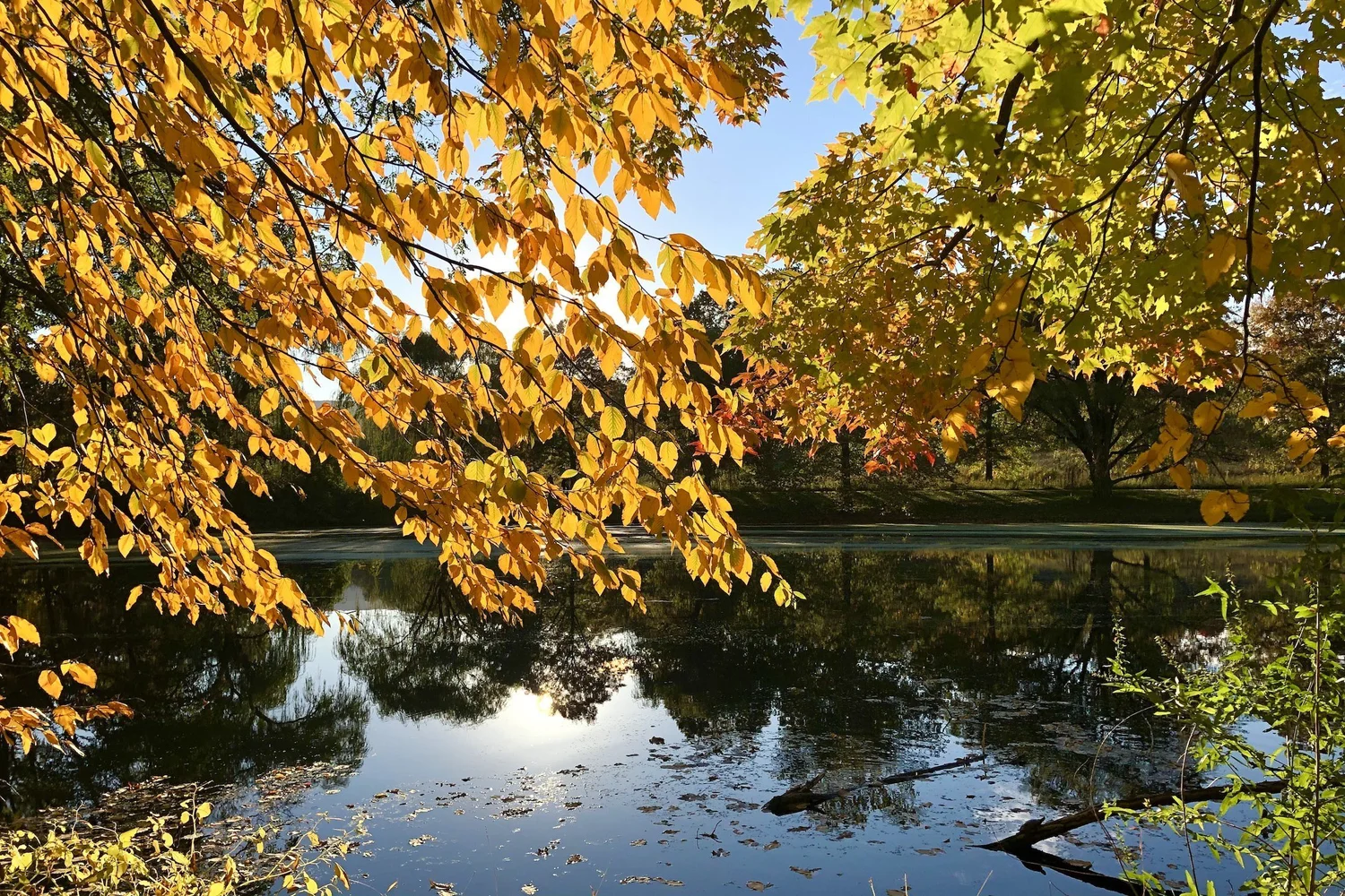 Storm King Art Center Boasts Over 100 Sculptures, Stunning Fall Foliage ...
