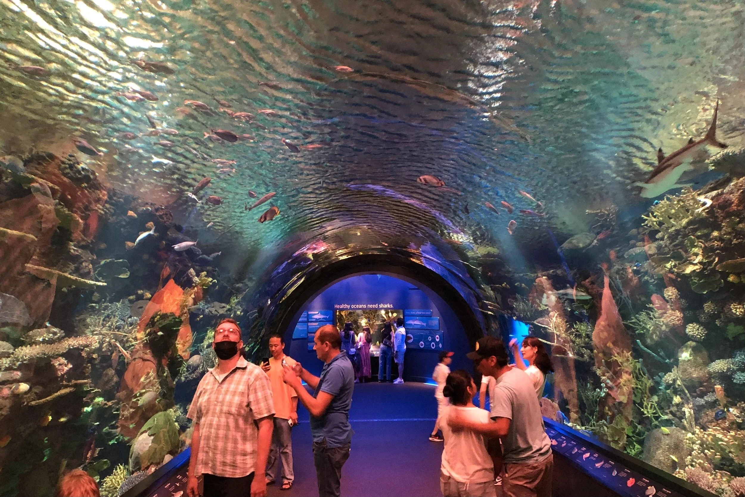 New York Aquarium: Everything to Know and Tips | The Exploreist