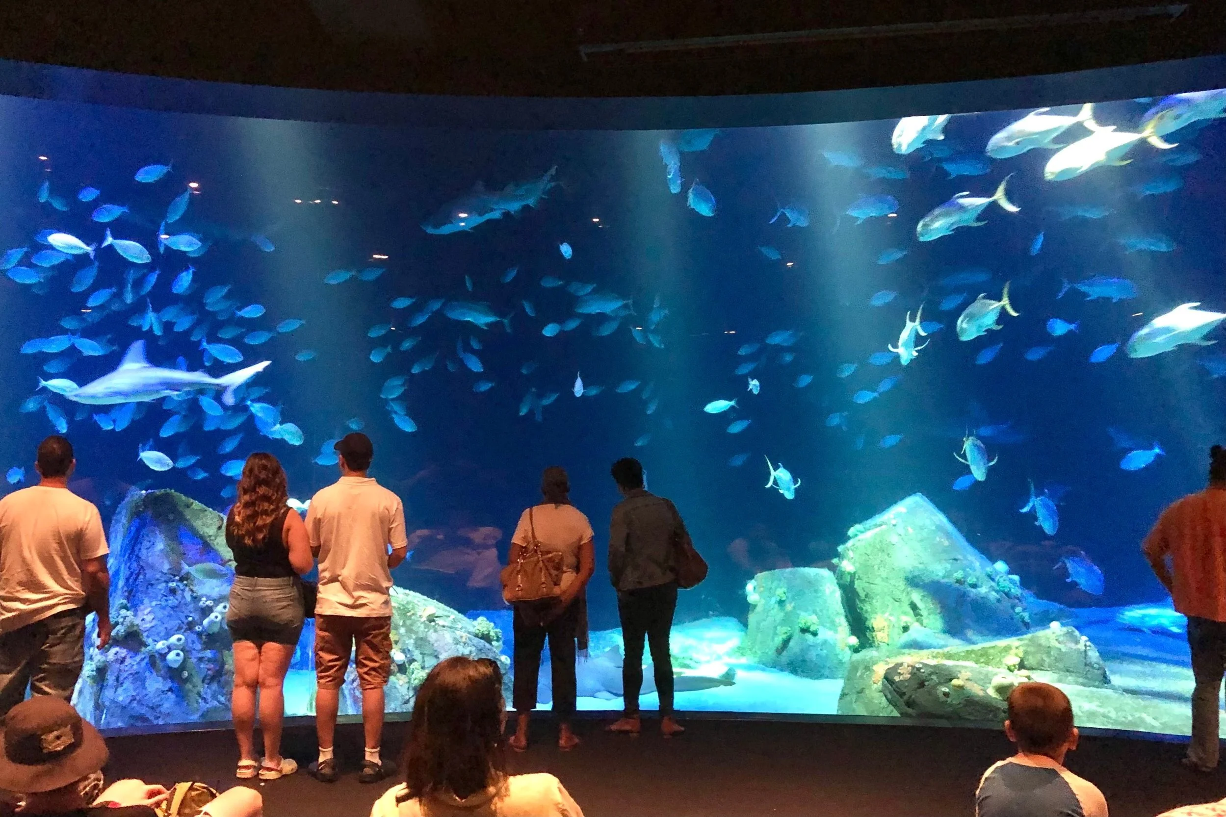 New York Aquarium: Everything to Know and Tips | The Exploreist
