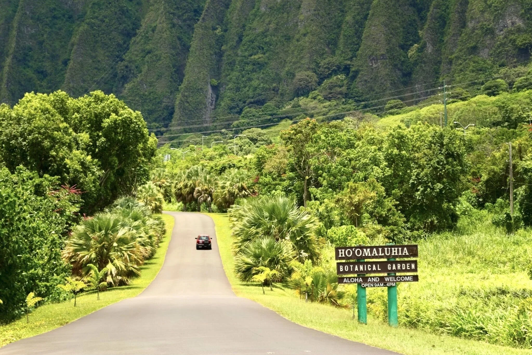 10 Best Botanical Gardens in Oahu Worth Visiting | The Exploreist