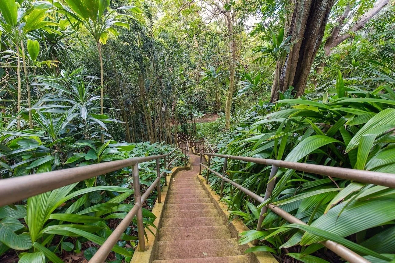 10 Best Botanical Gardens in Oahu Worth Visiting | The Exploreist