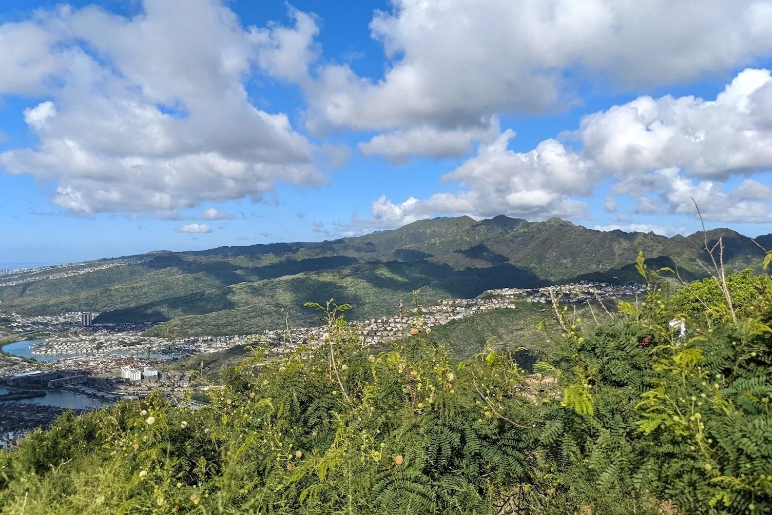 10 Best Botanical Gardens in Oahu Worth Visiting | The Exploreist