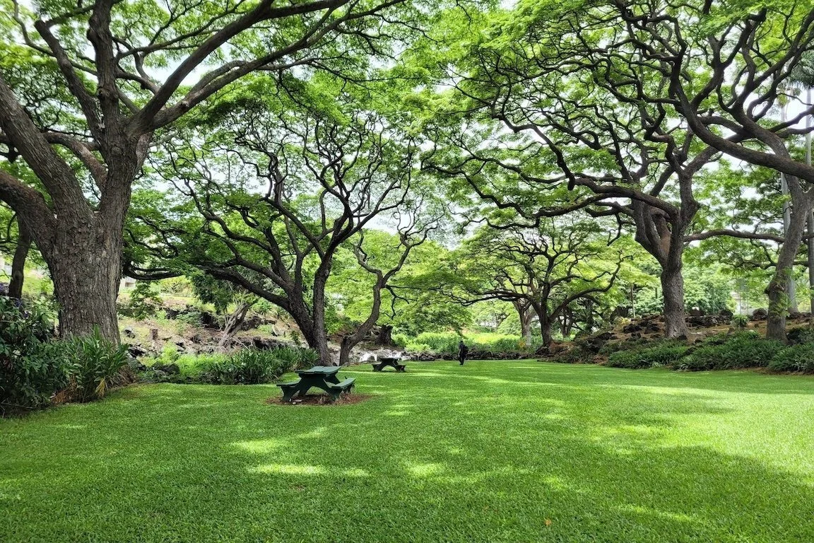 10 Best Botanical Gardens in Oahu Worth Visiting | The Exploreist
