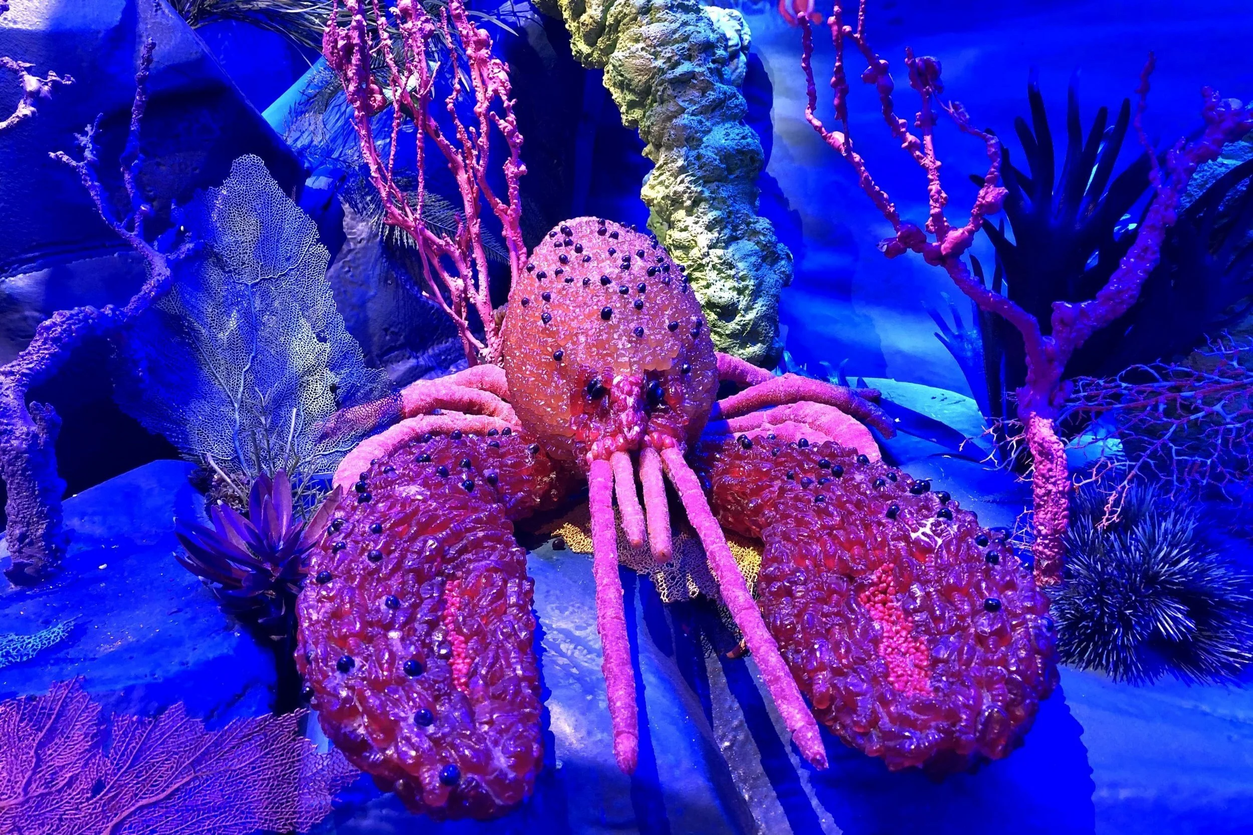 Your Complete Guide to the Candytopia Experience in NYC | The Exploreist