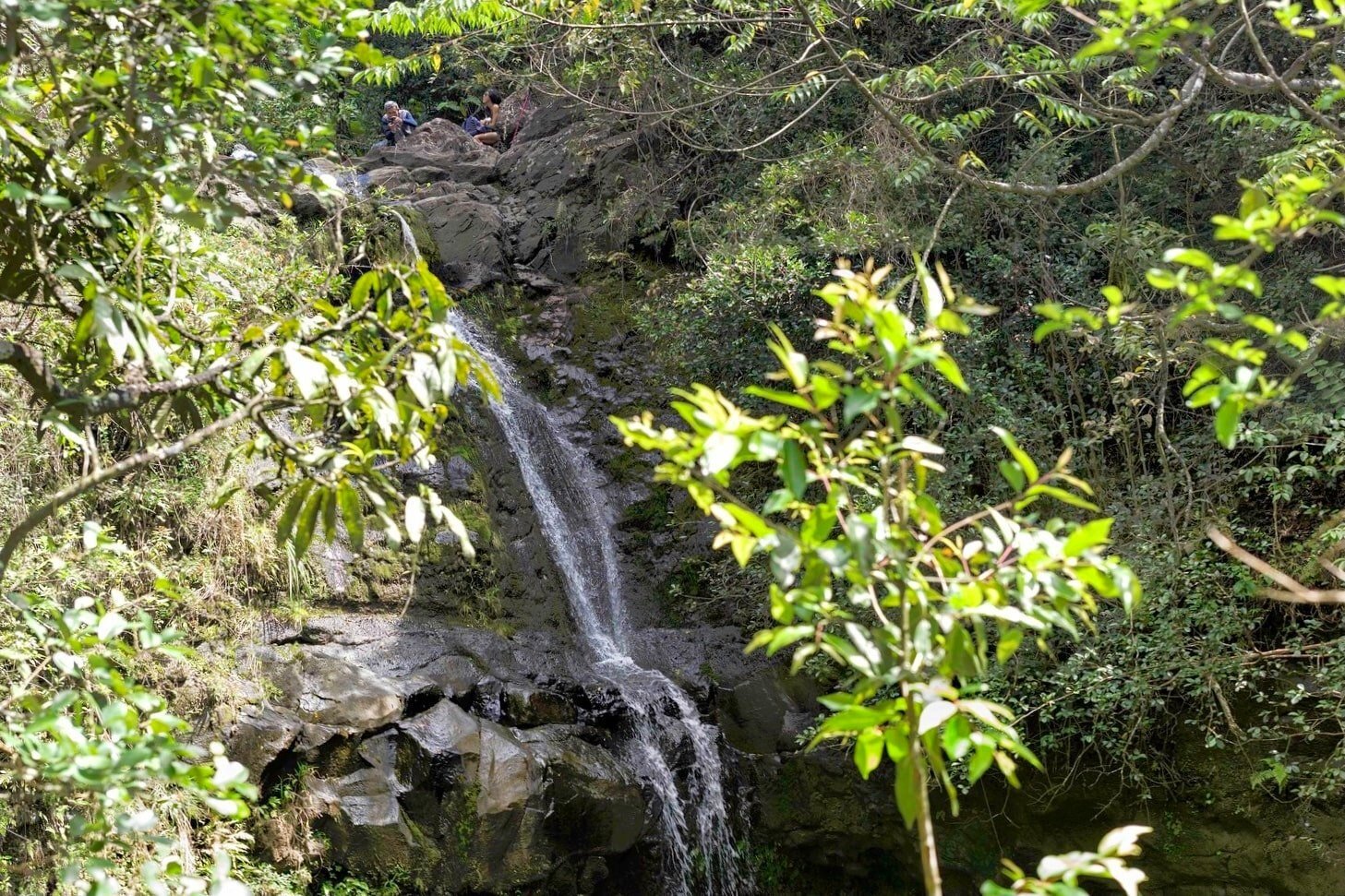 12 Best Waterfalls on Oʻahu, Hawaii for Swimming, Picnics, and Natural ...