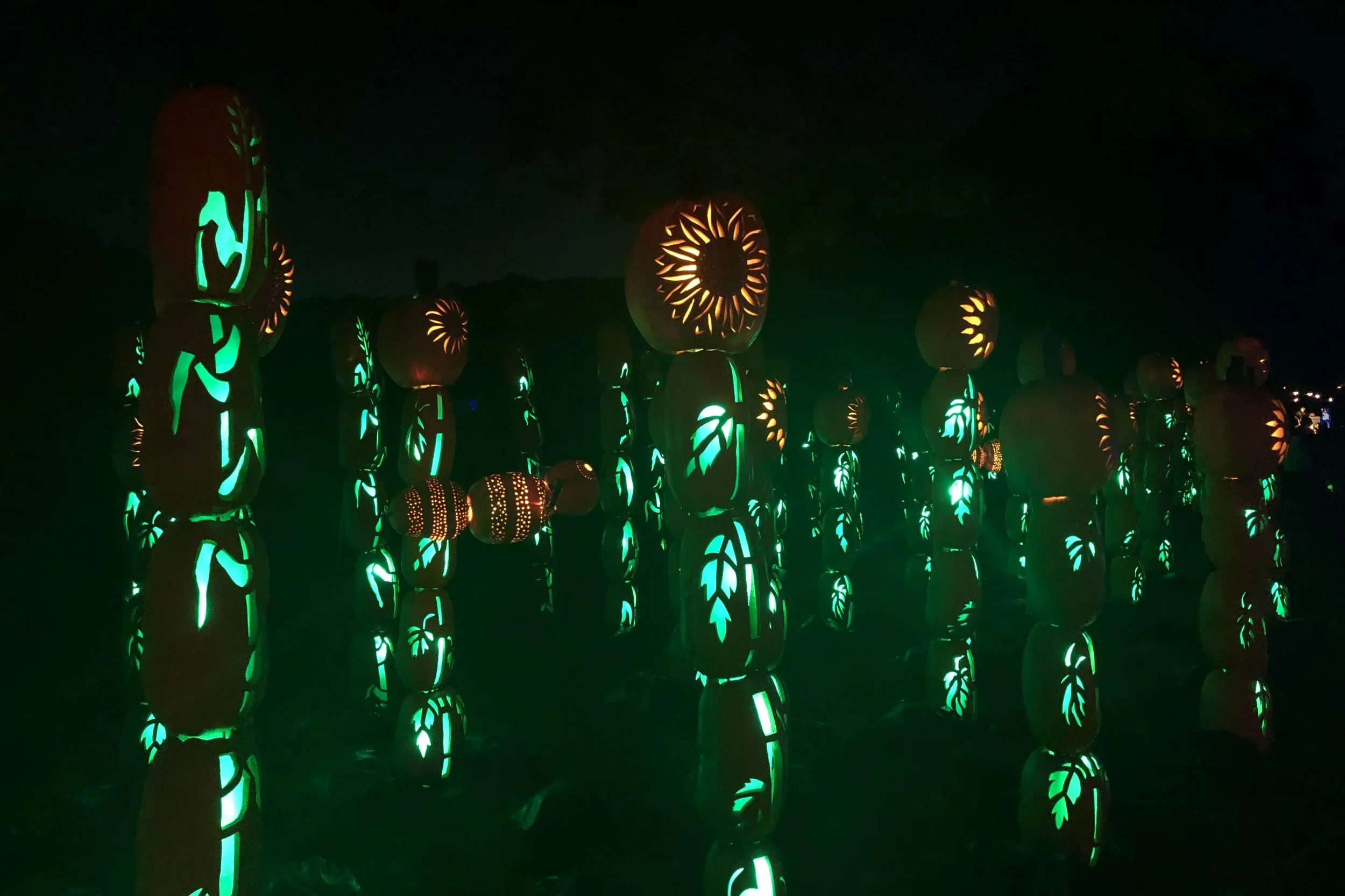 Your Guide to the 2024 Great Jack O’Lantern Blaze | The Exploreist