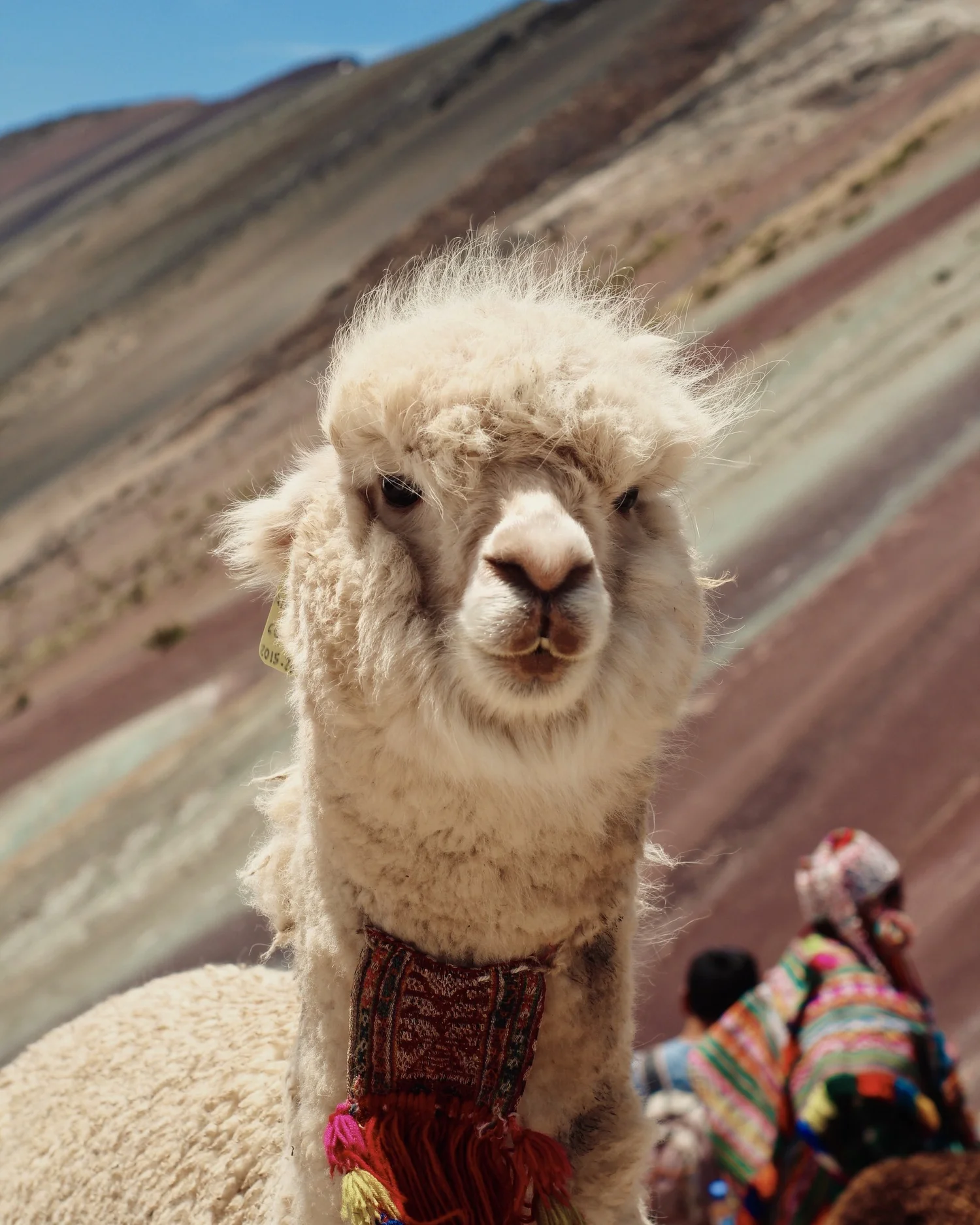 How to Visit Rainbow Mountain in Peru: Everything You Need to Know ...