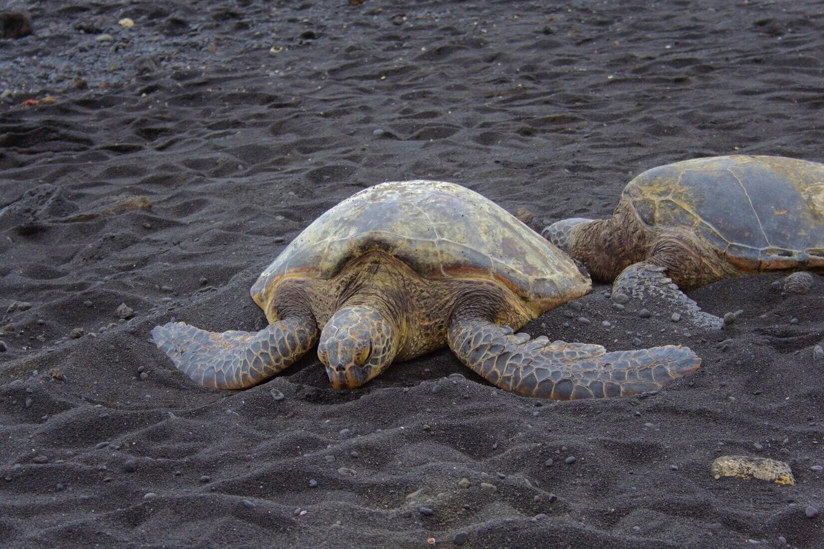 29 Best Beaches in Hawaii, from Waikiki Beach to Kahalu’u Beach Park ...