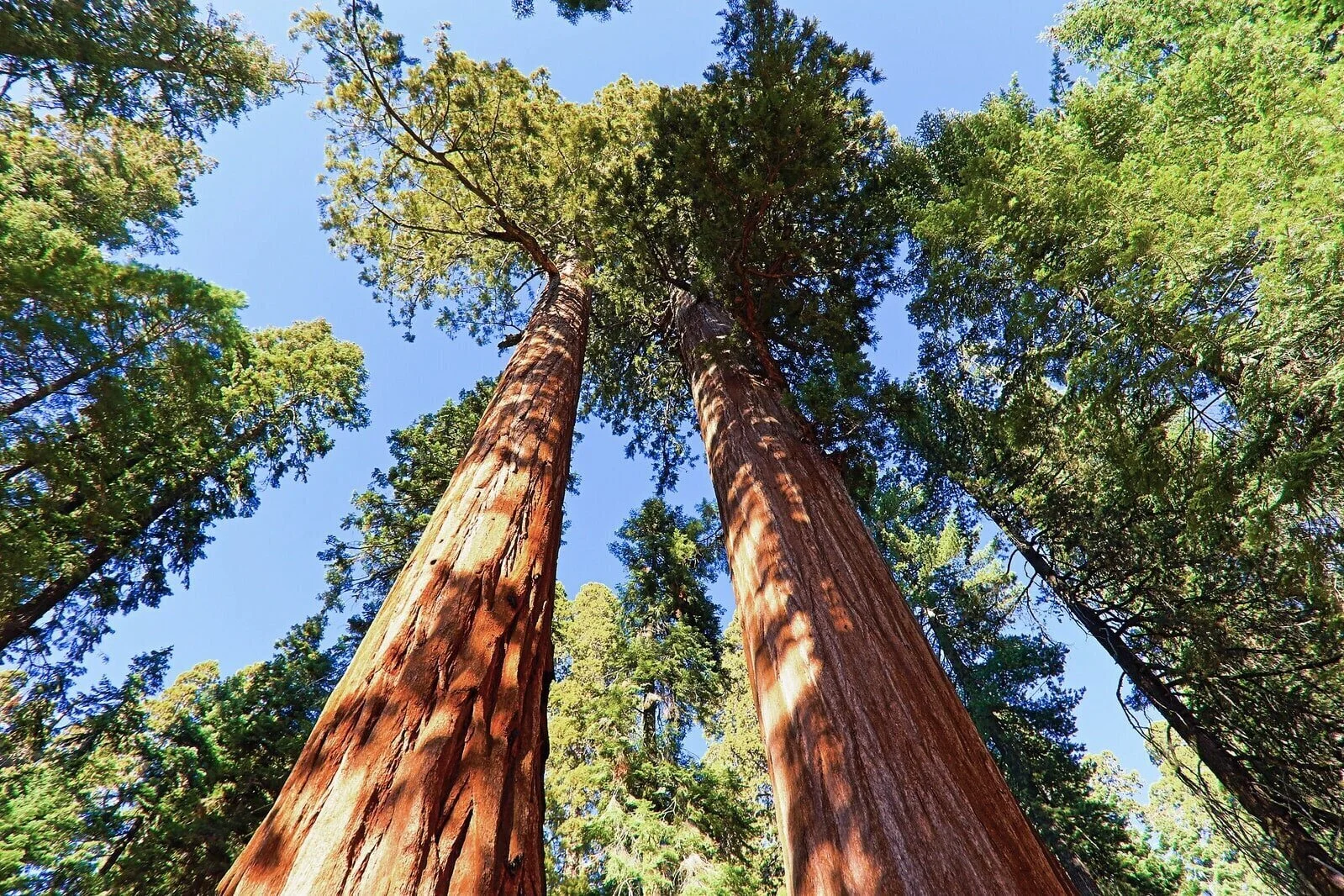 28 Best National Parks in the U.S., From Acadia to Yellowstone | The ...