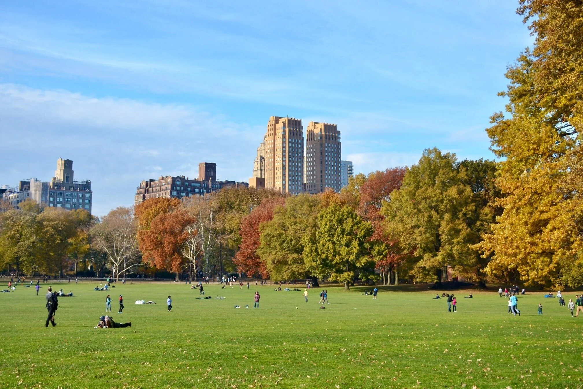 28 Best Picnic Spots in NYC to Roll Out a Blanket and Unwind | The ...
