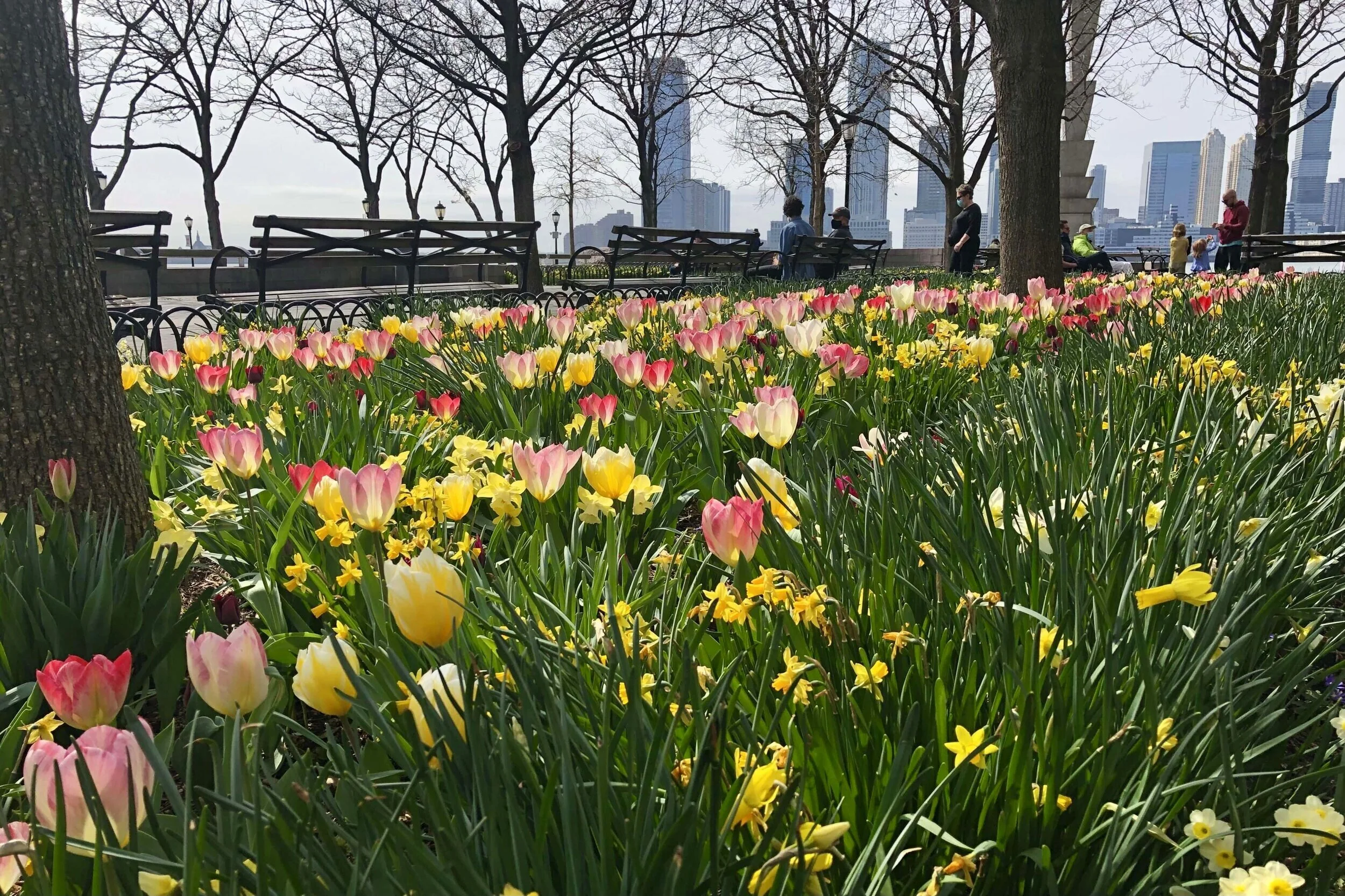 28 Best Things to Do in NYC in Spring, According to a New Yorker | The ...