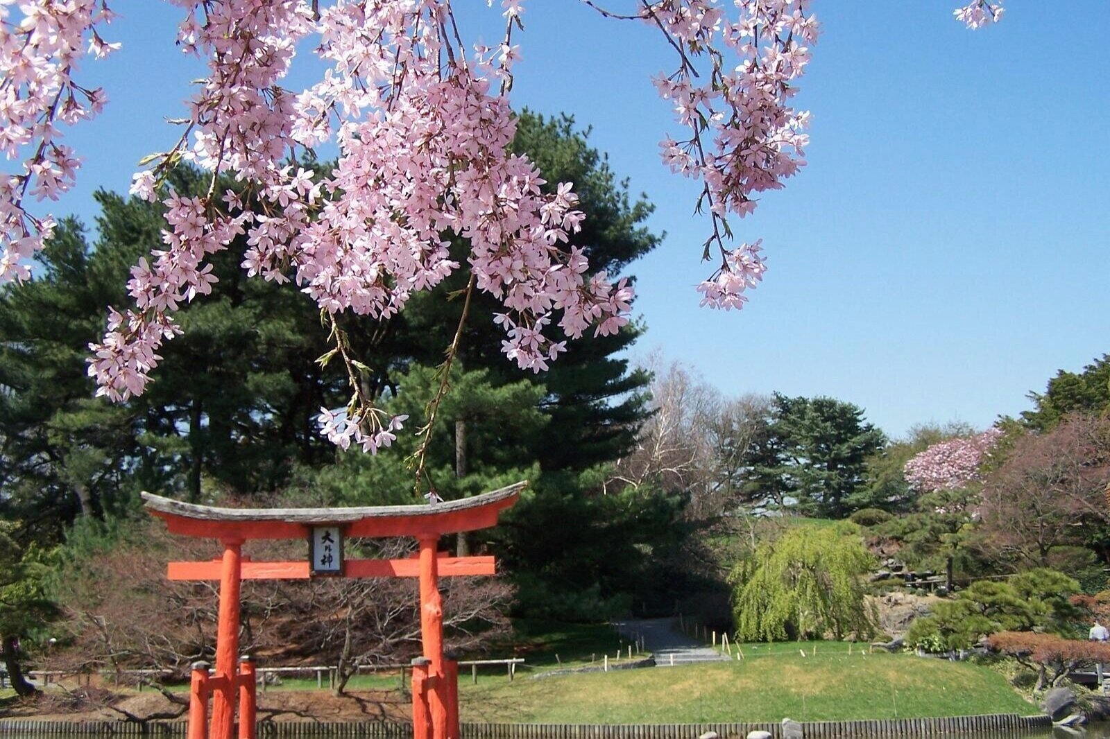 28 Best Things to Do in NYC in Spring, According to a New Yorker | The ...