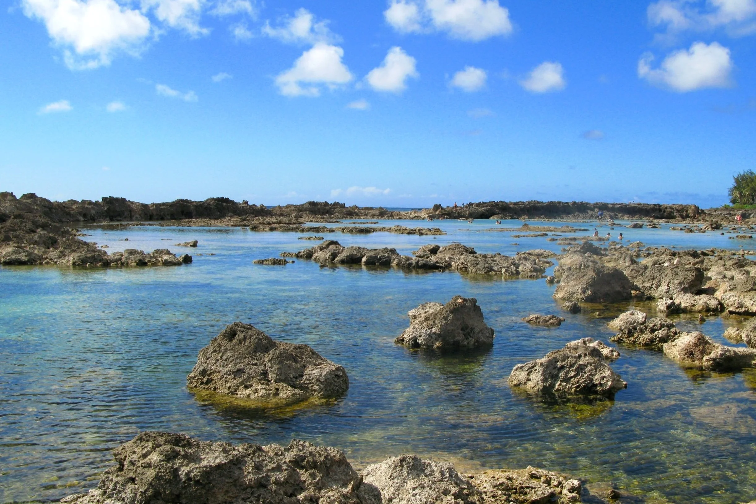 26 Best Snorkeling Spots in Hawaii, From Molokini Crater to Honolua Bay ...