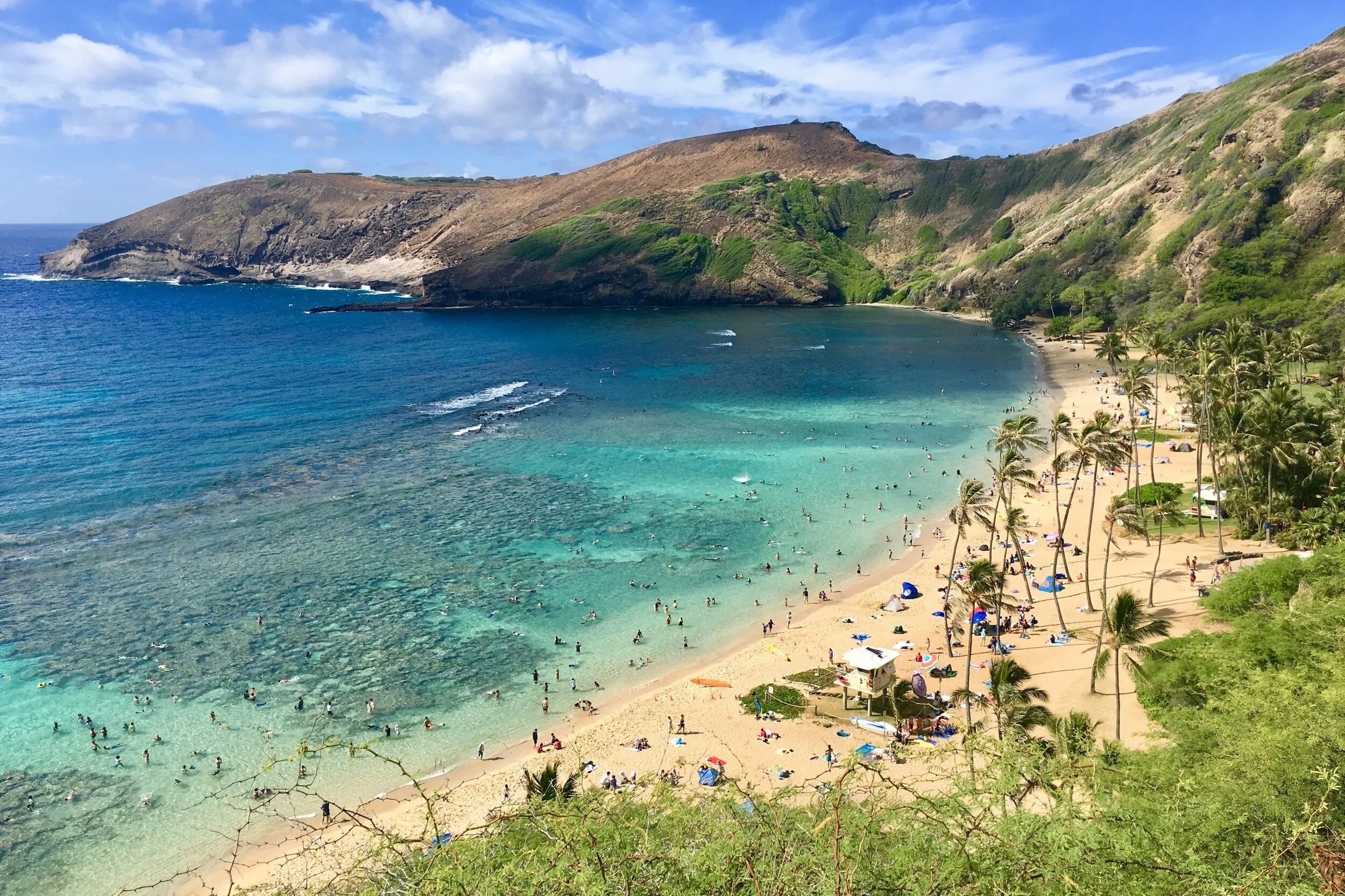 Your Complete Guide to Snorkeling at Hanauma Bay in Oahu | The Exploreist