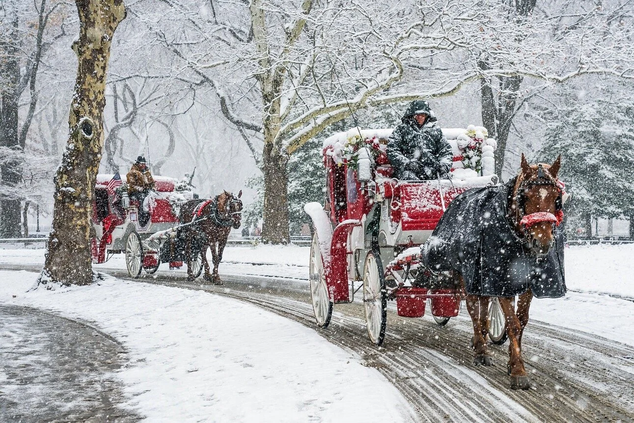30 Best Things to Do in Winter in NYC, According to a New Yorker | The ...