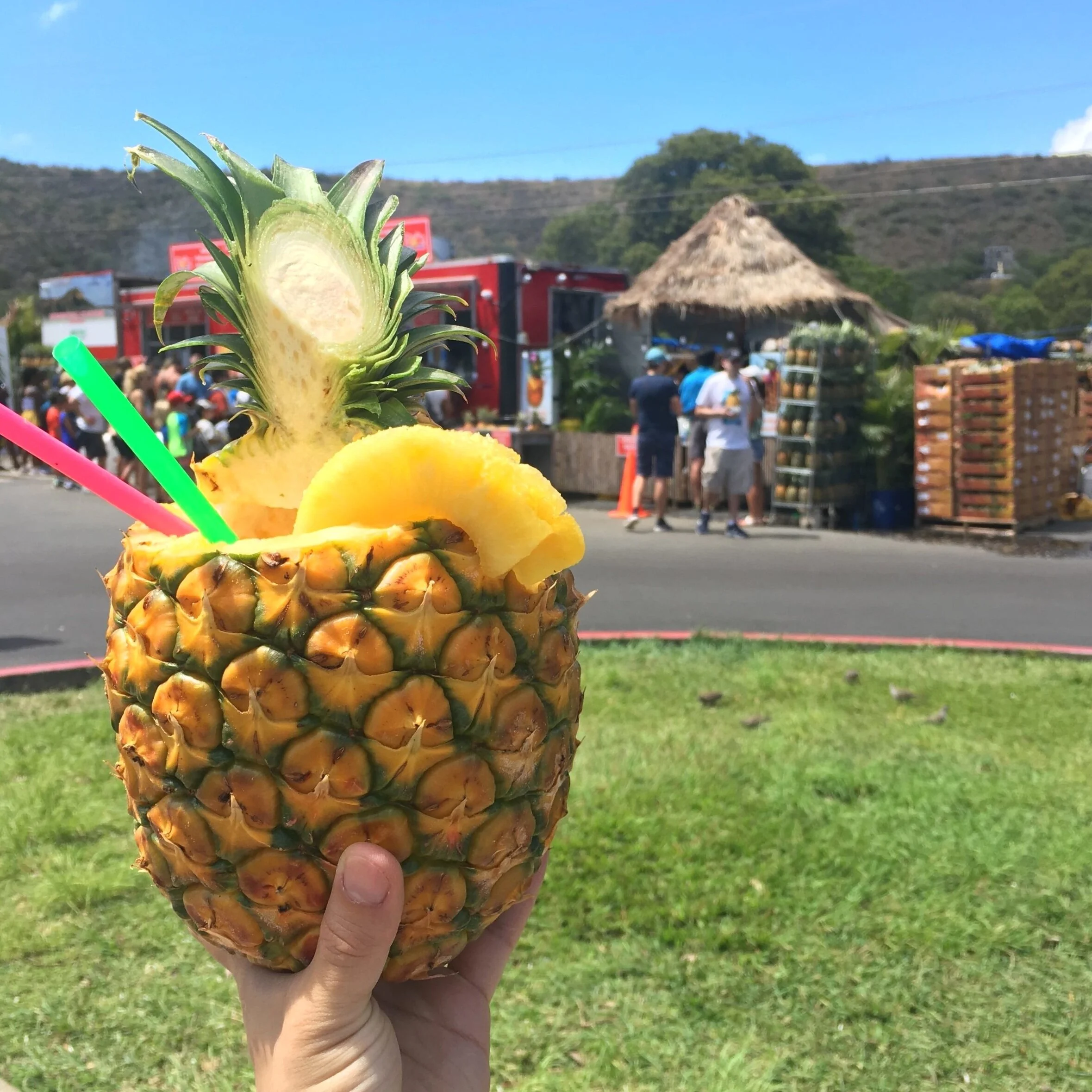 Your Complete Guide to Diamond Head State Monument on Oahu, Hawaii ...