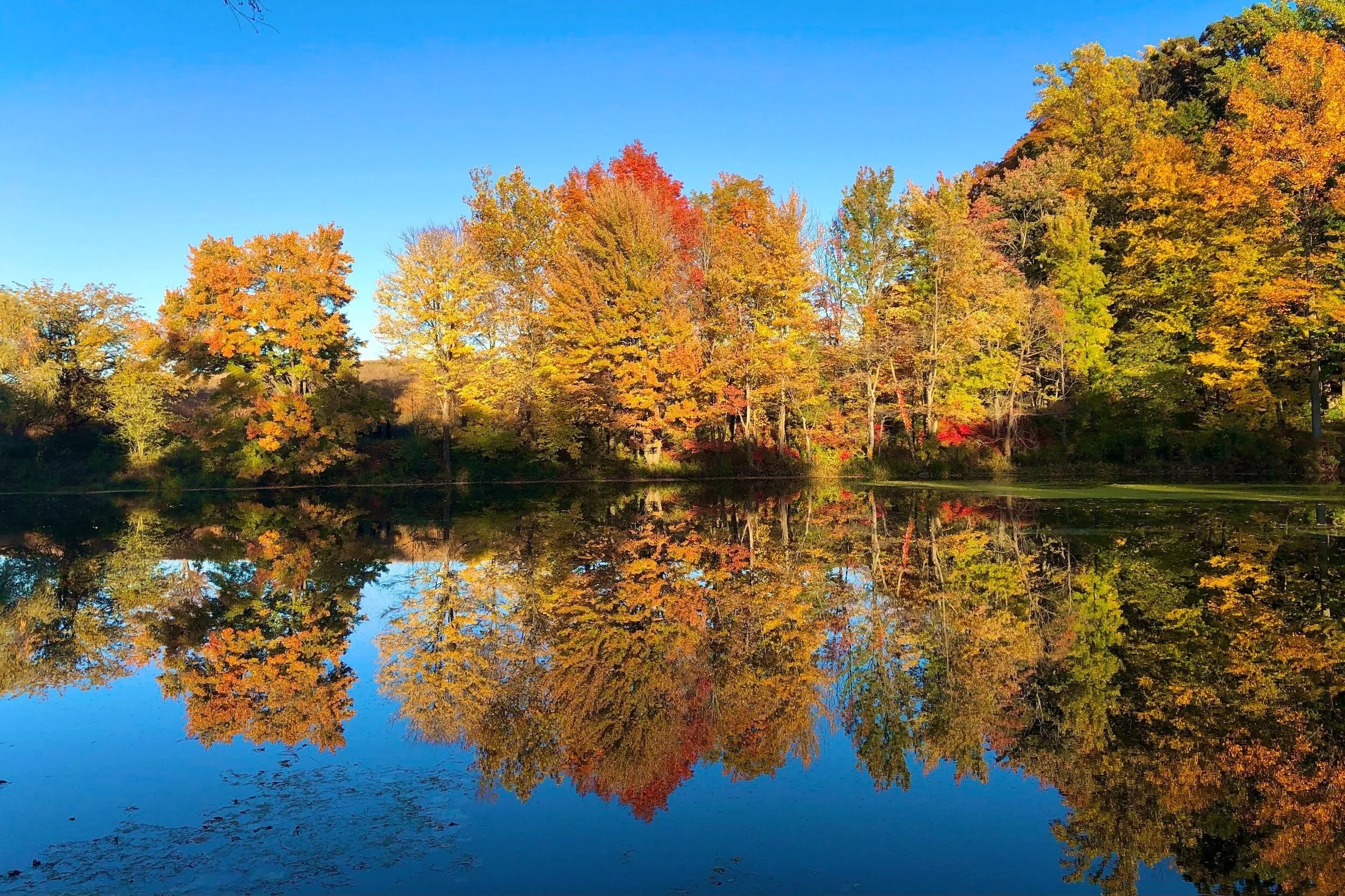 25 Best Places to See Fall Foliage in New York | The Exploreist