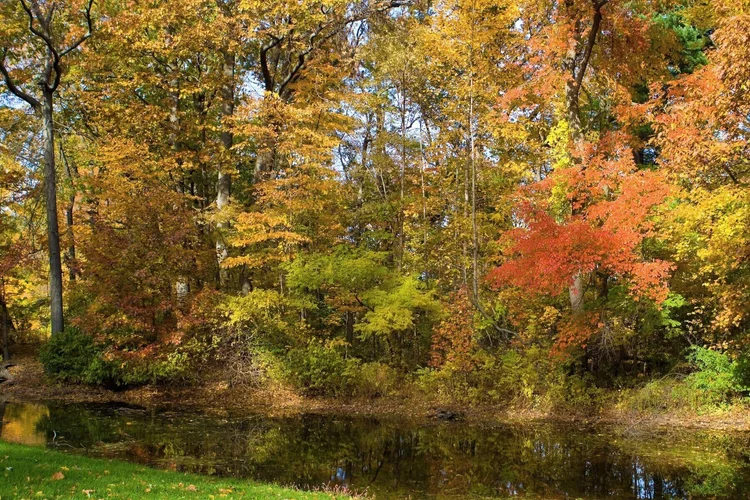 25 Best Places to See Fall Foliage in New York | The Exploreist