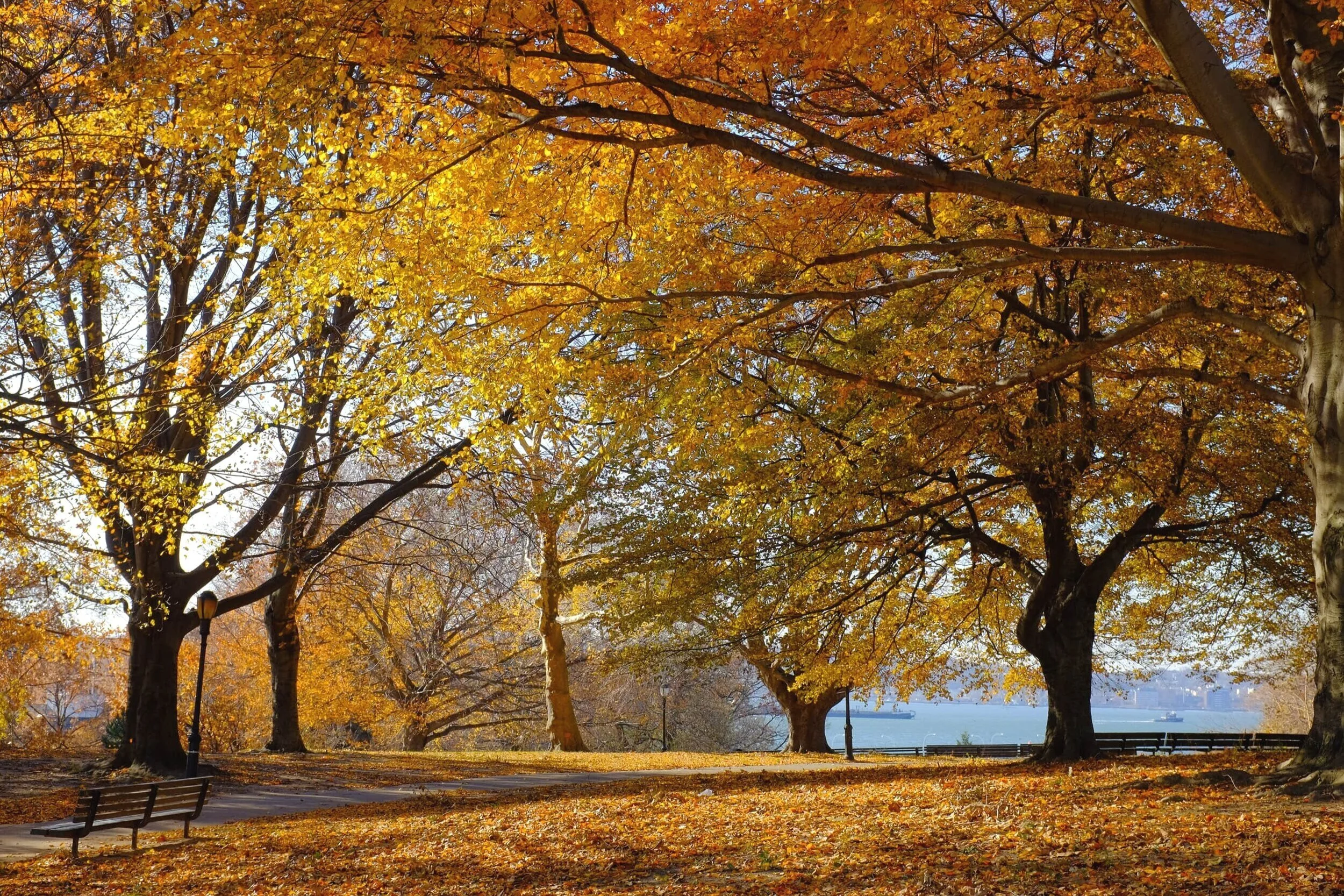 25 Best Places to See Fall Foliage in New York | The Exploreist