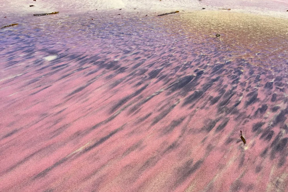 A Complete Guide to Pfeiffer Purple Sand Beach | The Exploreist