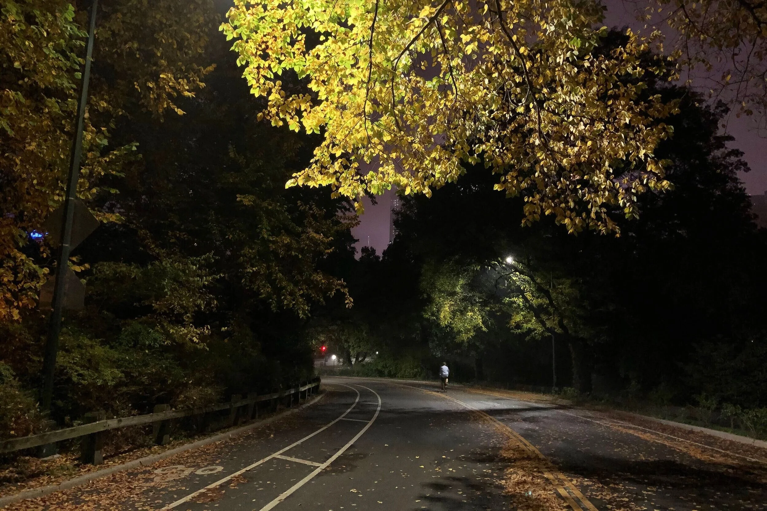 31 Best Fall Activities and Events in NYC, According to a Local | The ...